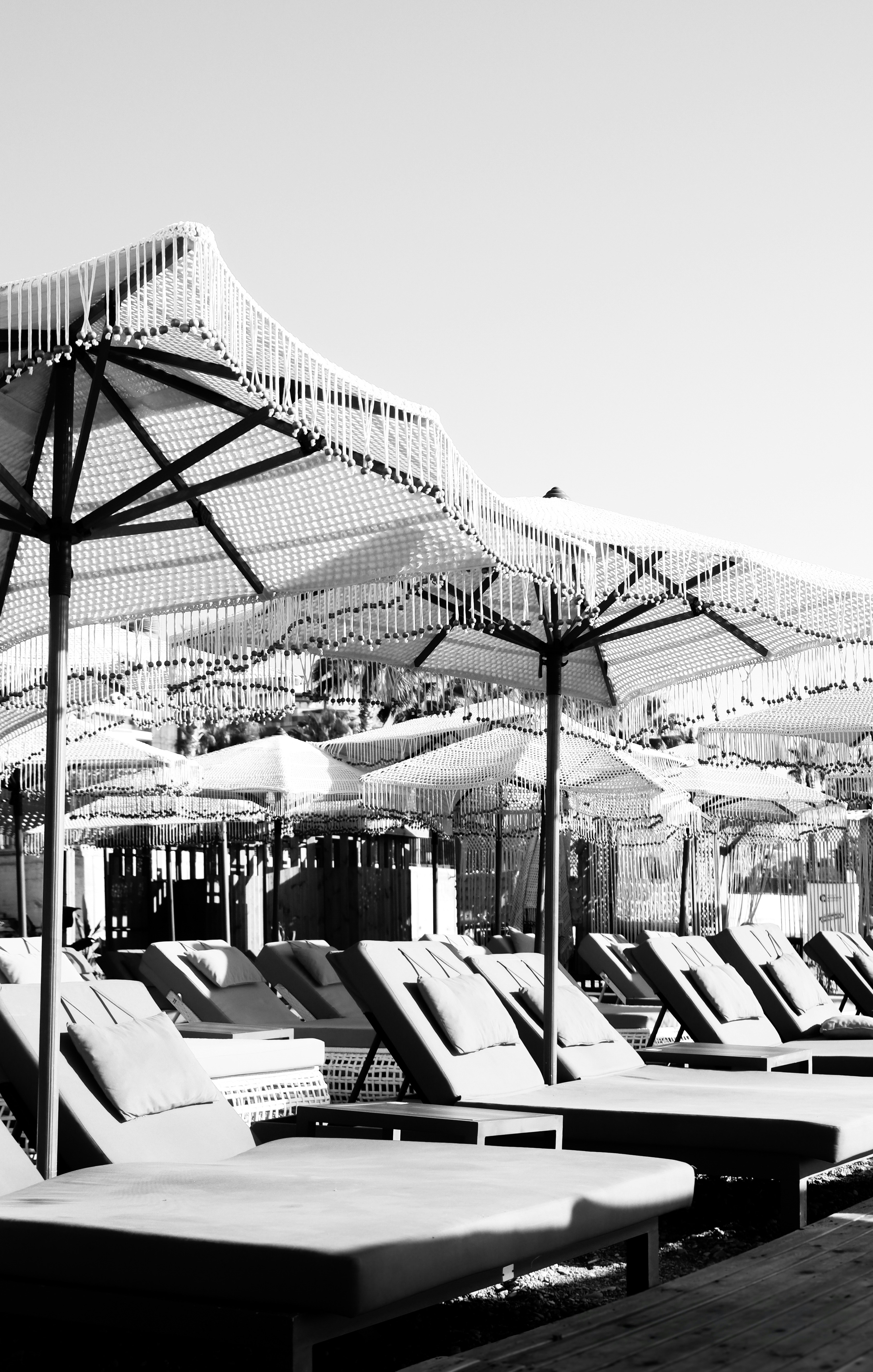 Rows of striped beach loungers under sun umbrellas in a monochrome coastal scene