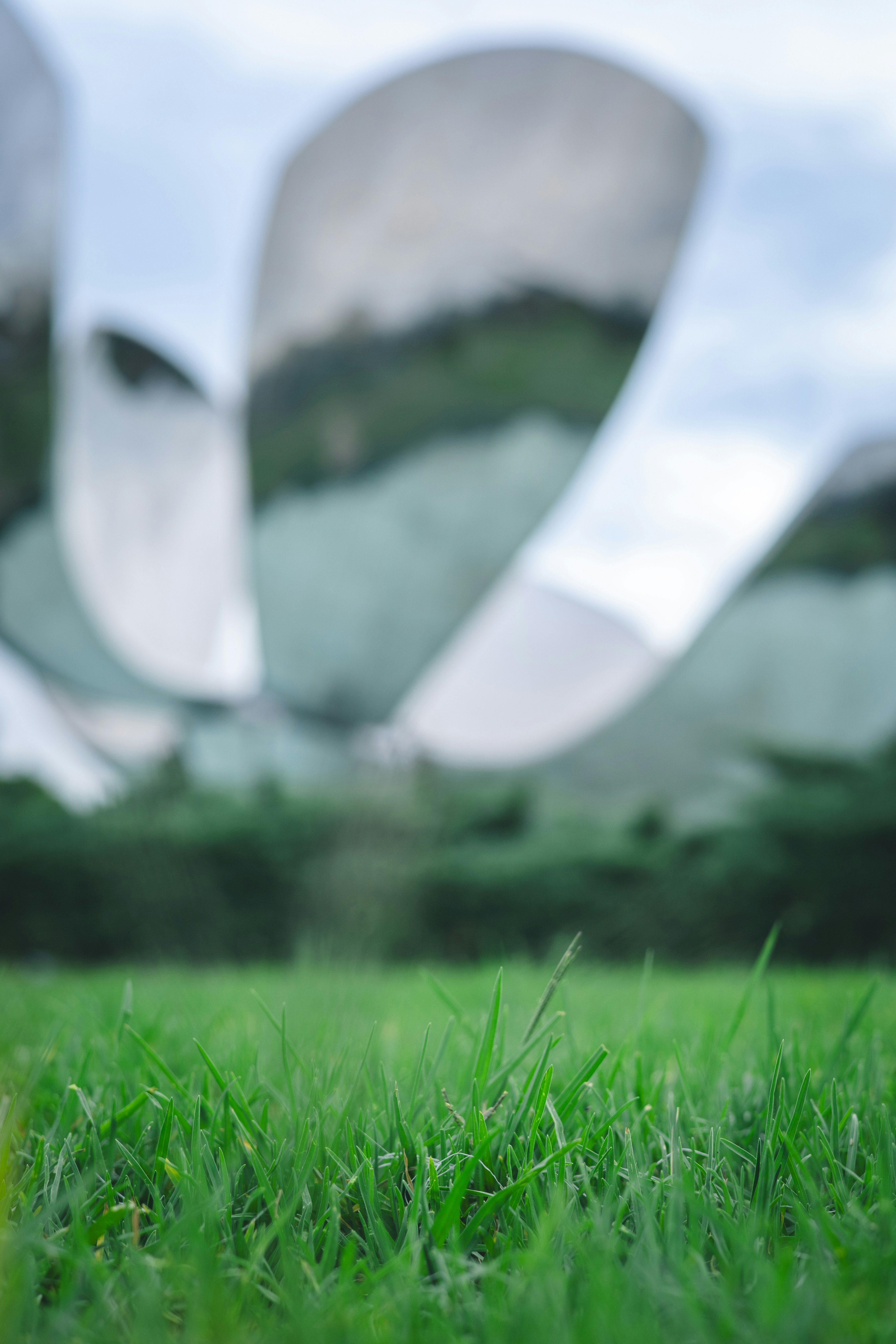 Echoing Curves Over Green Field