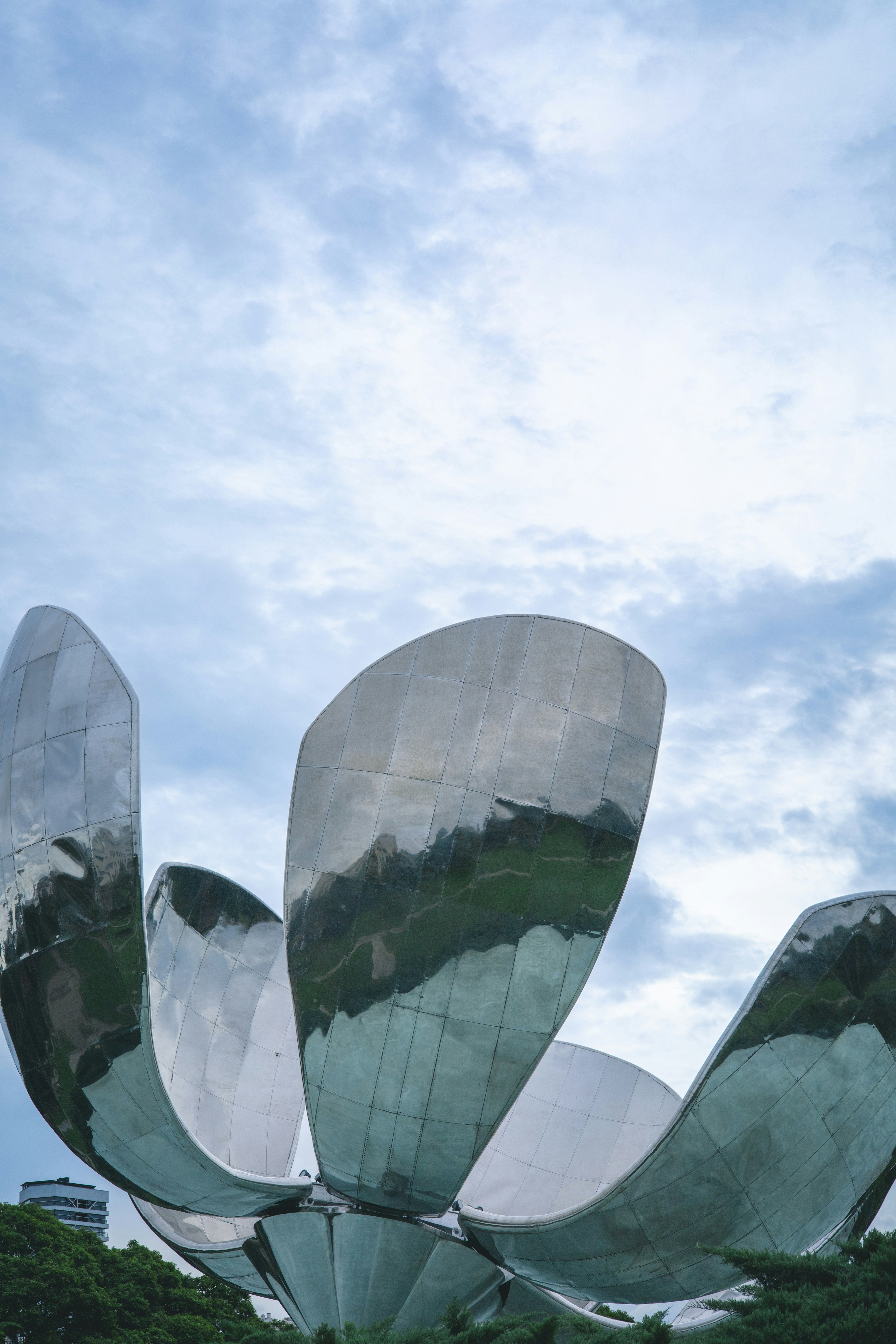 Polished Petals Under a Sky ofBlue Echoes