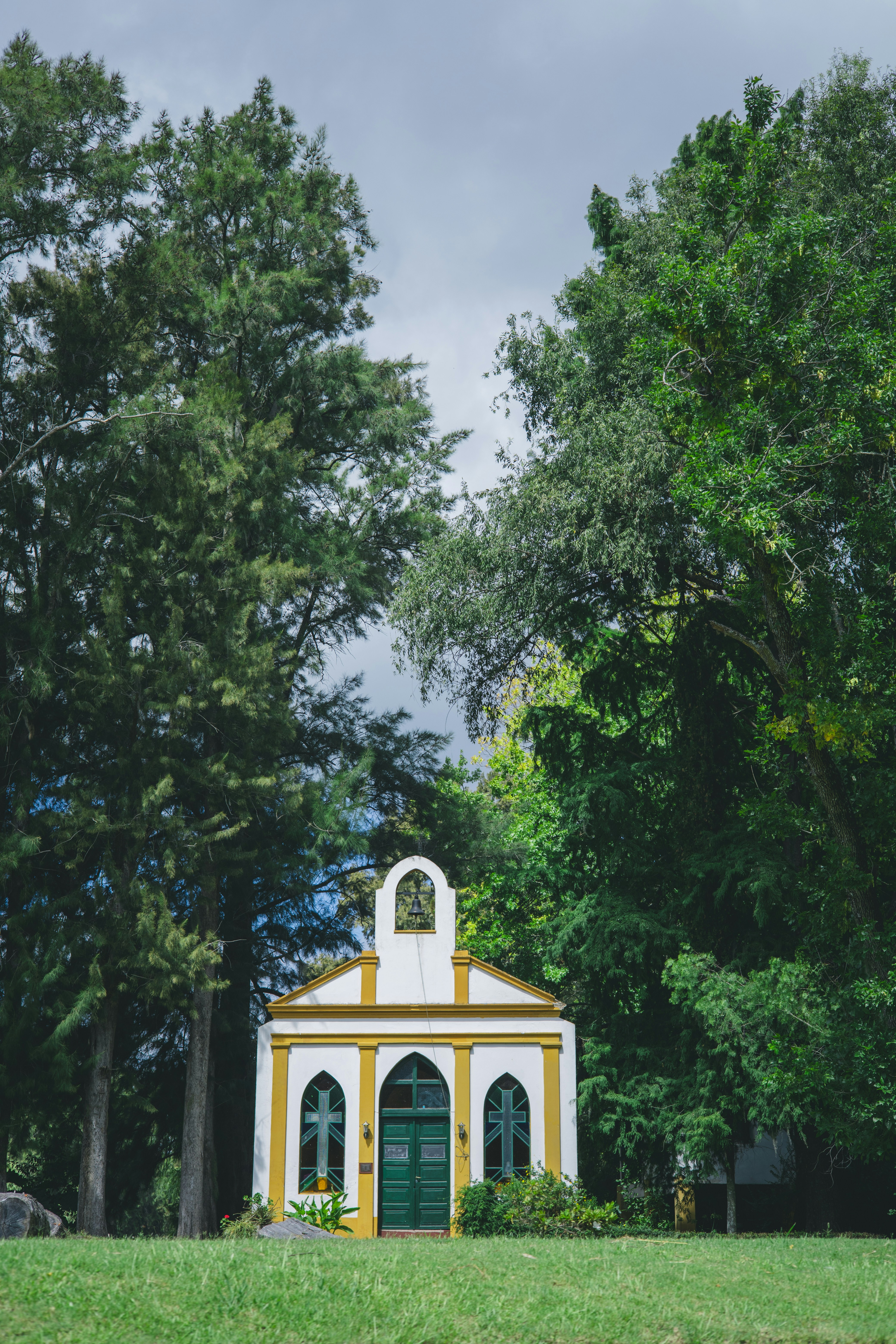 Small chapel framed by towering pines in sunlit meadow