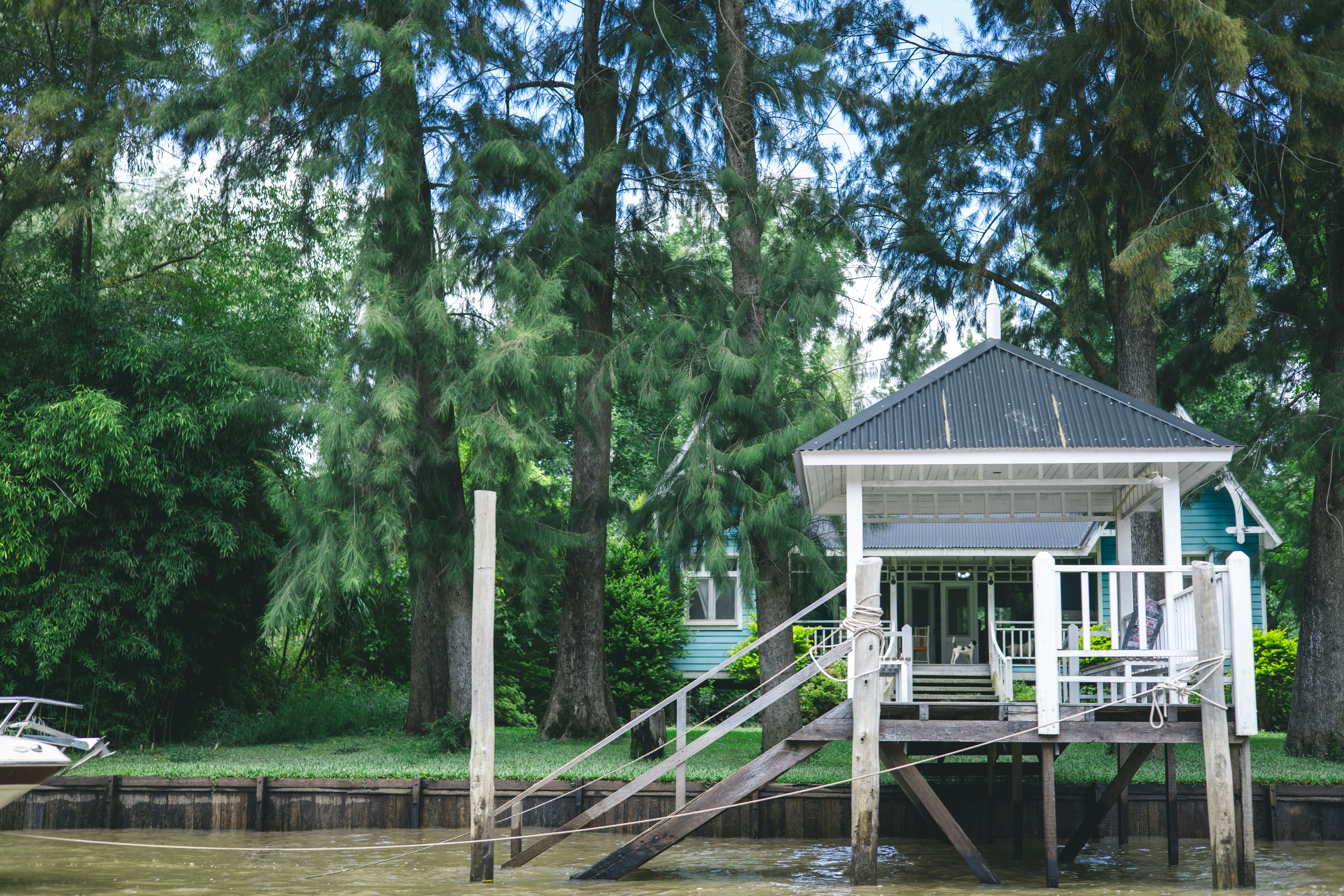 A riverside boathouse framed by towering pines