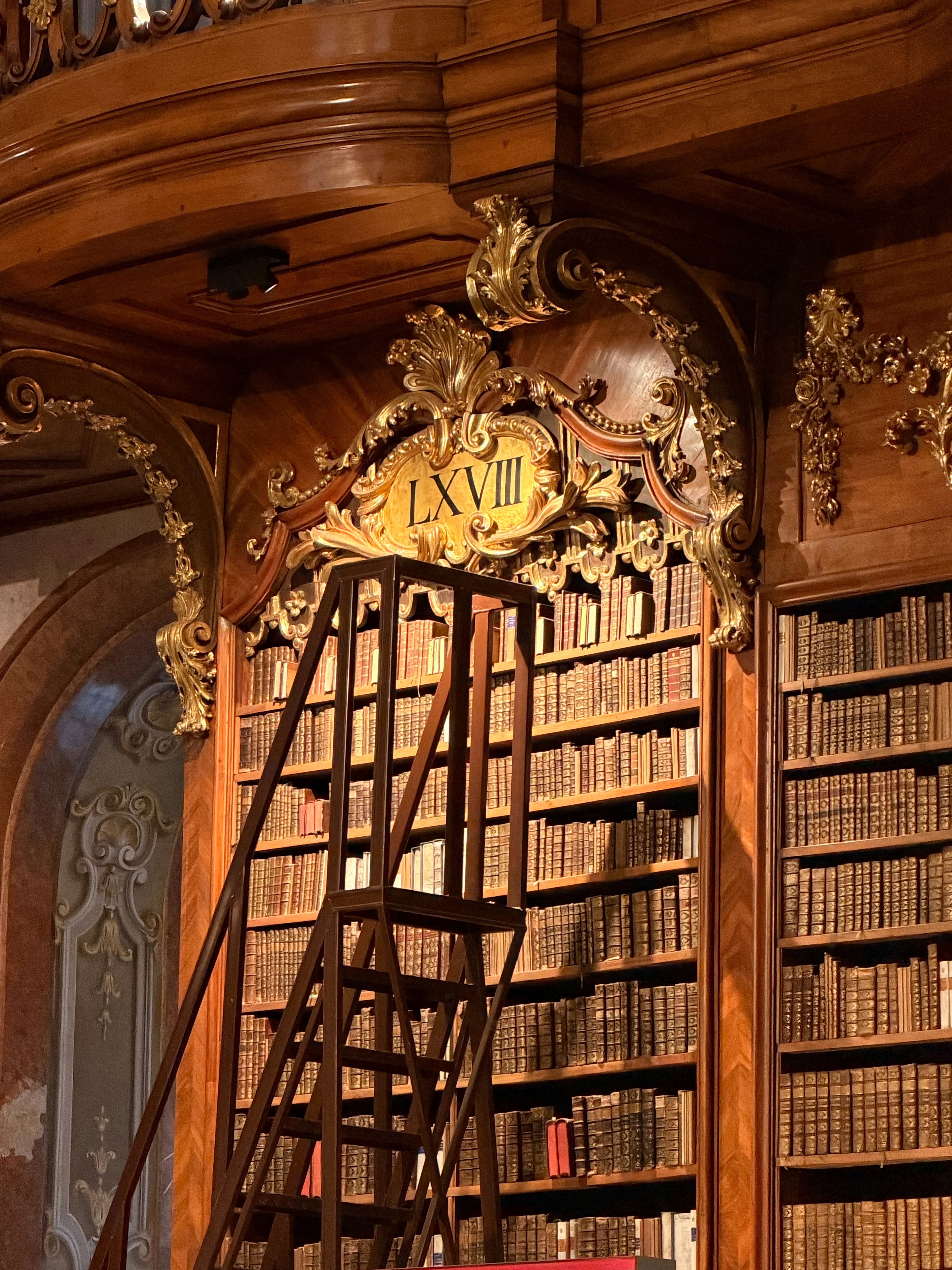Gilded Library Crest Over an Aerial Ladder