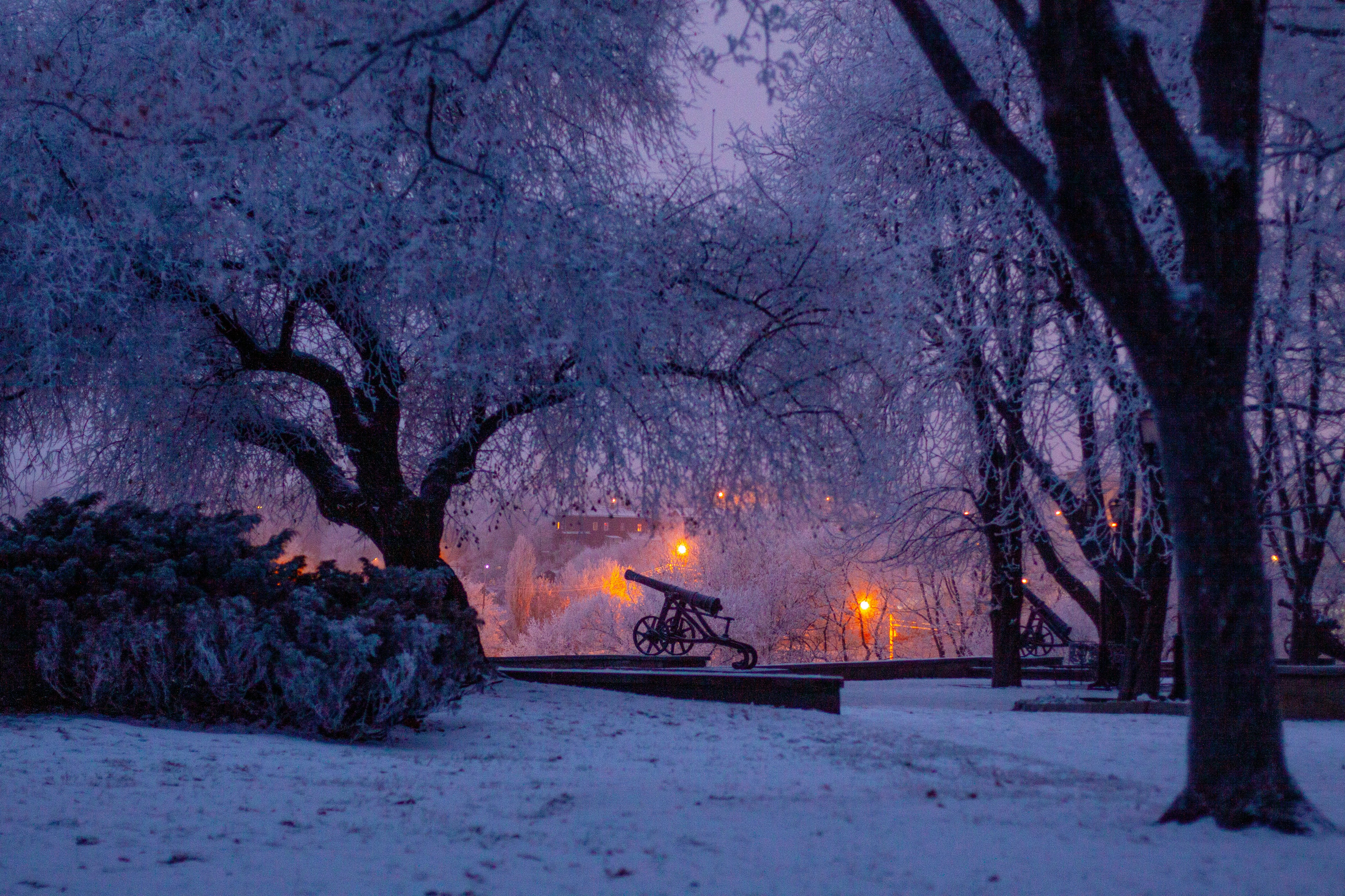 Winter Twilight on the Park Bench