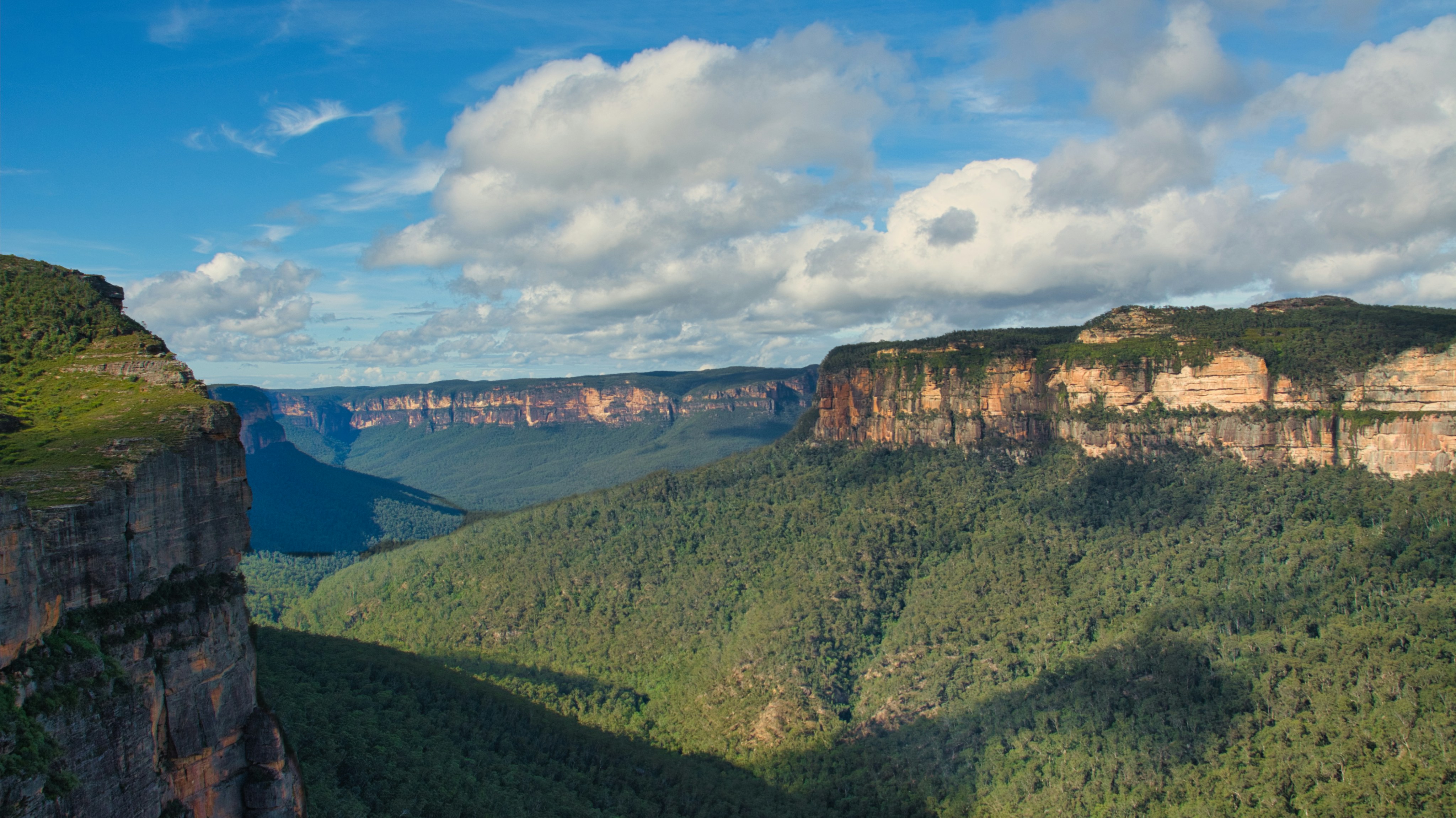 Emerald Canyons: Sunlit Cliffscape Over a Verdant Gorge