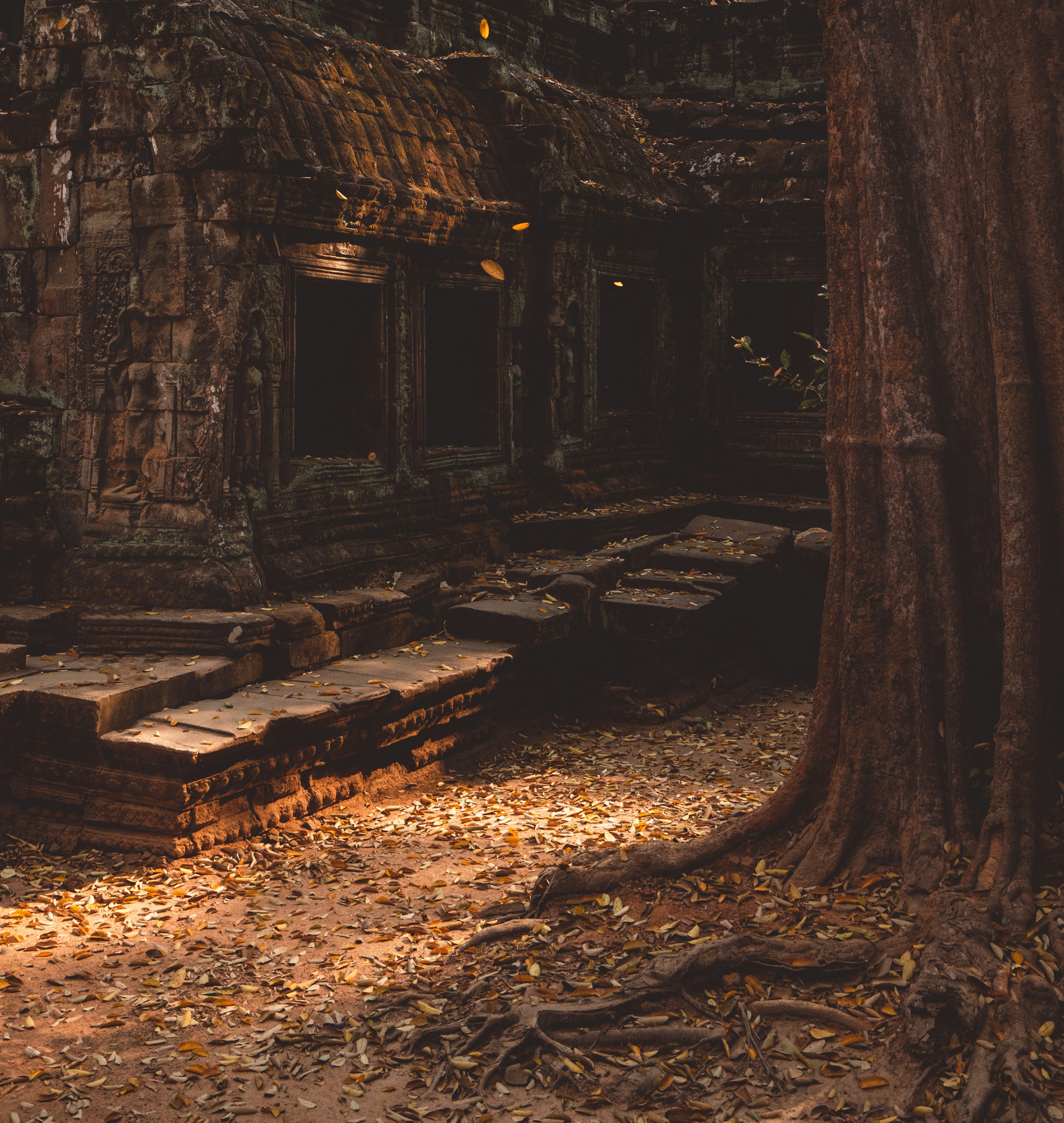 Rooted Silence: Ancient Temple Steps Beneath the Banyan