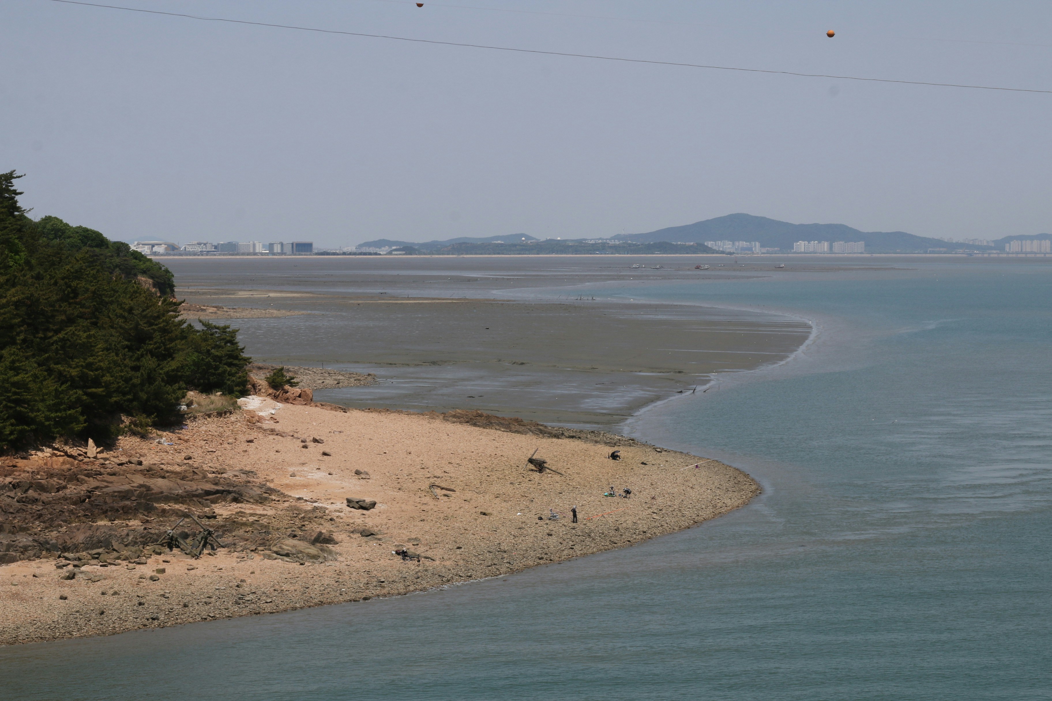 Coastal Curvature: Dune Edge Meeting Calm Water