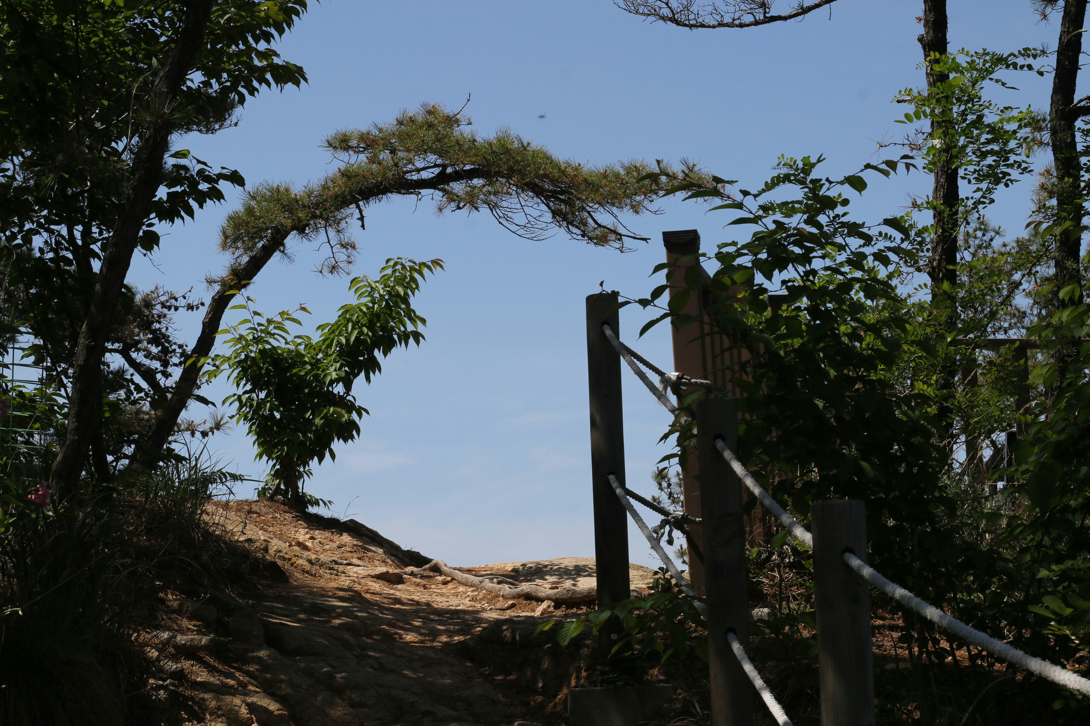Rugged Path to Quiet Ridge