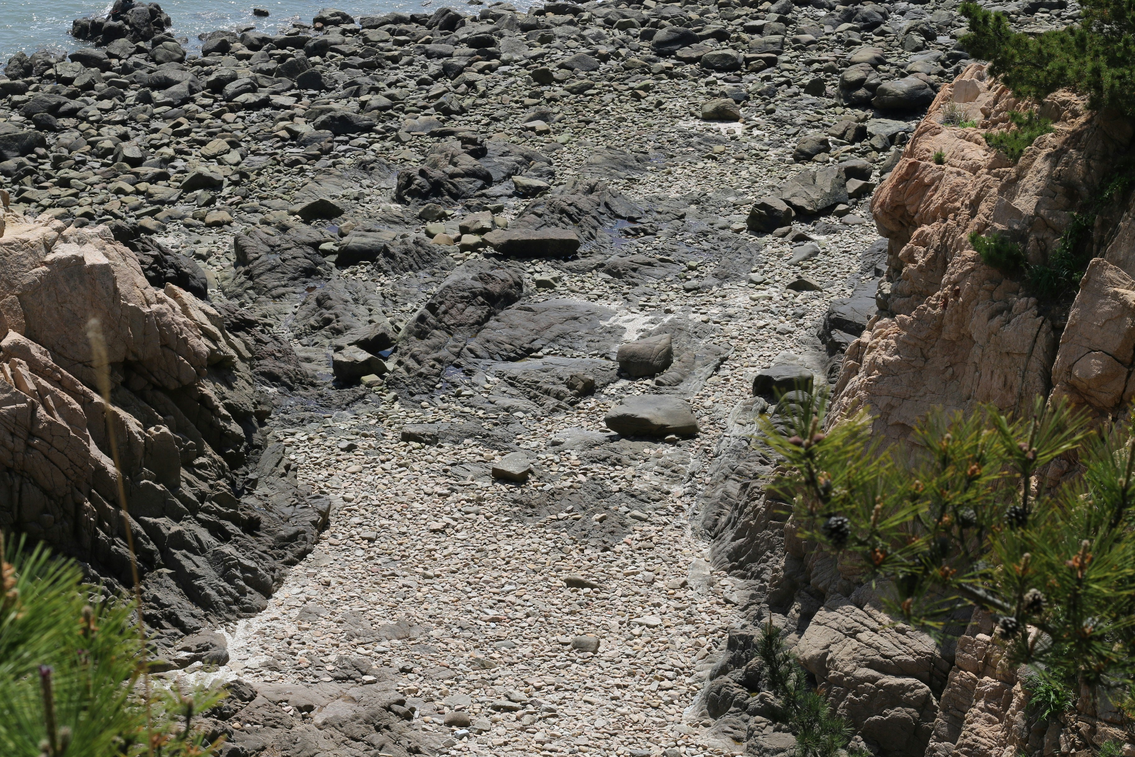Rugged rocky channel carved by tides, with sparse vegetation peering from the sides