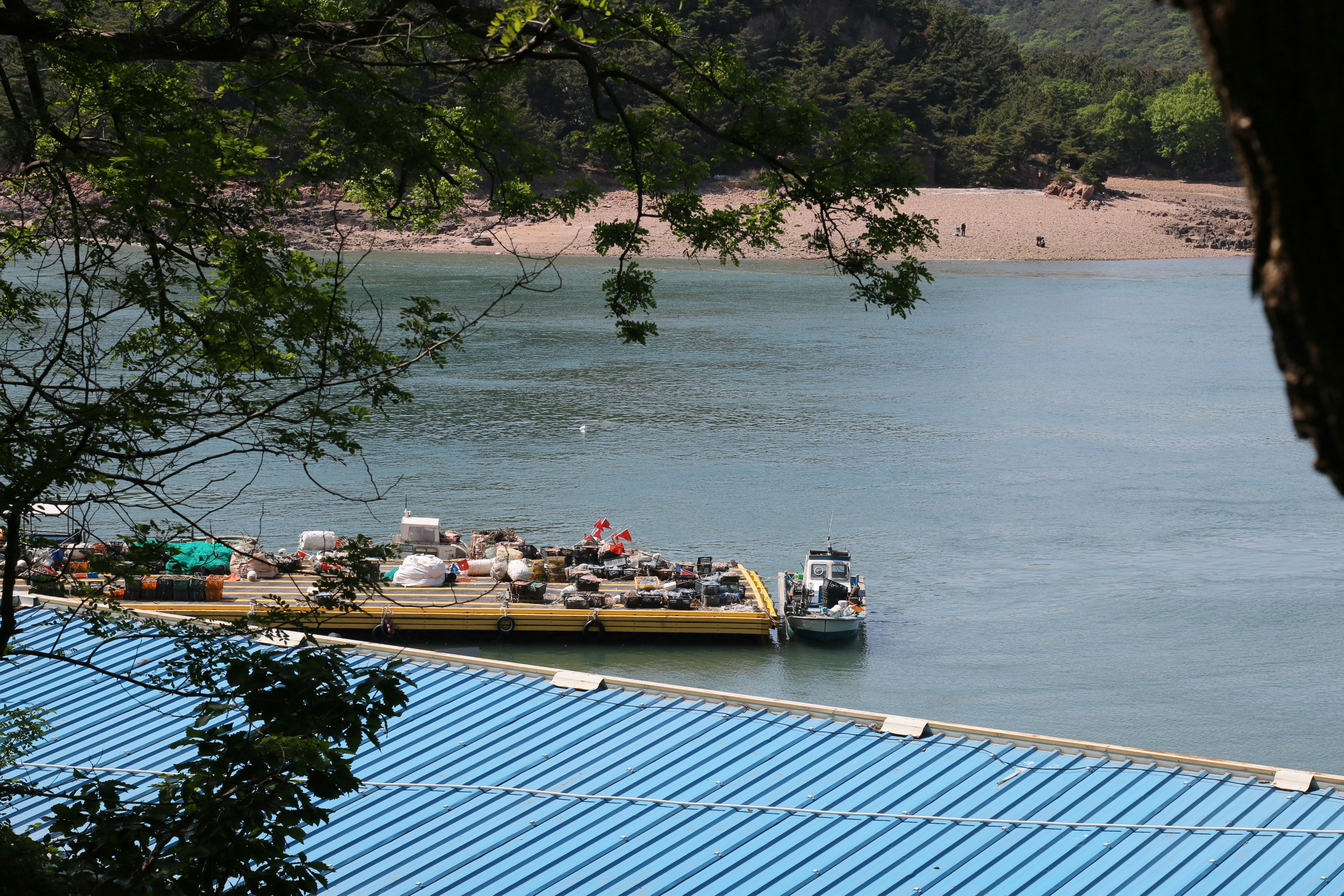 Boat Dock at the Riverside Edge