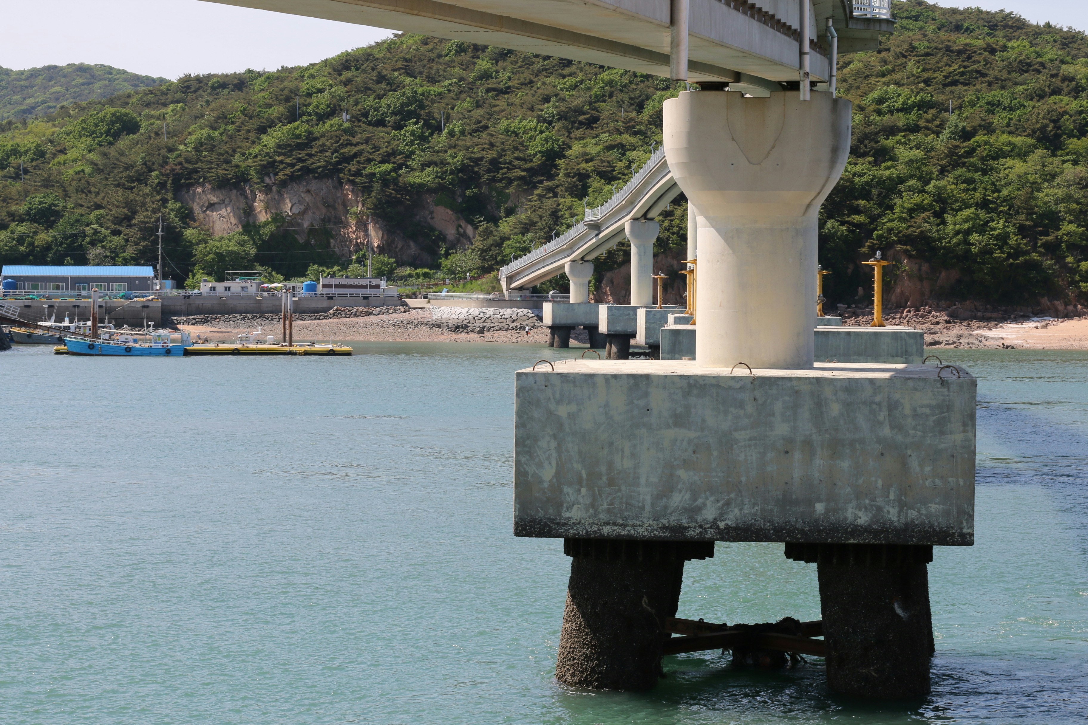 Under the Span: A Tide-Watching Pier