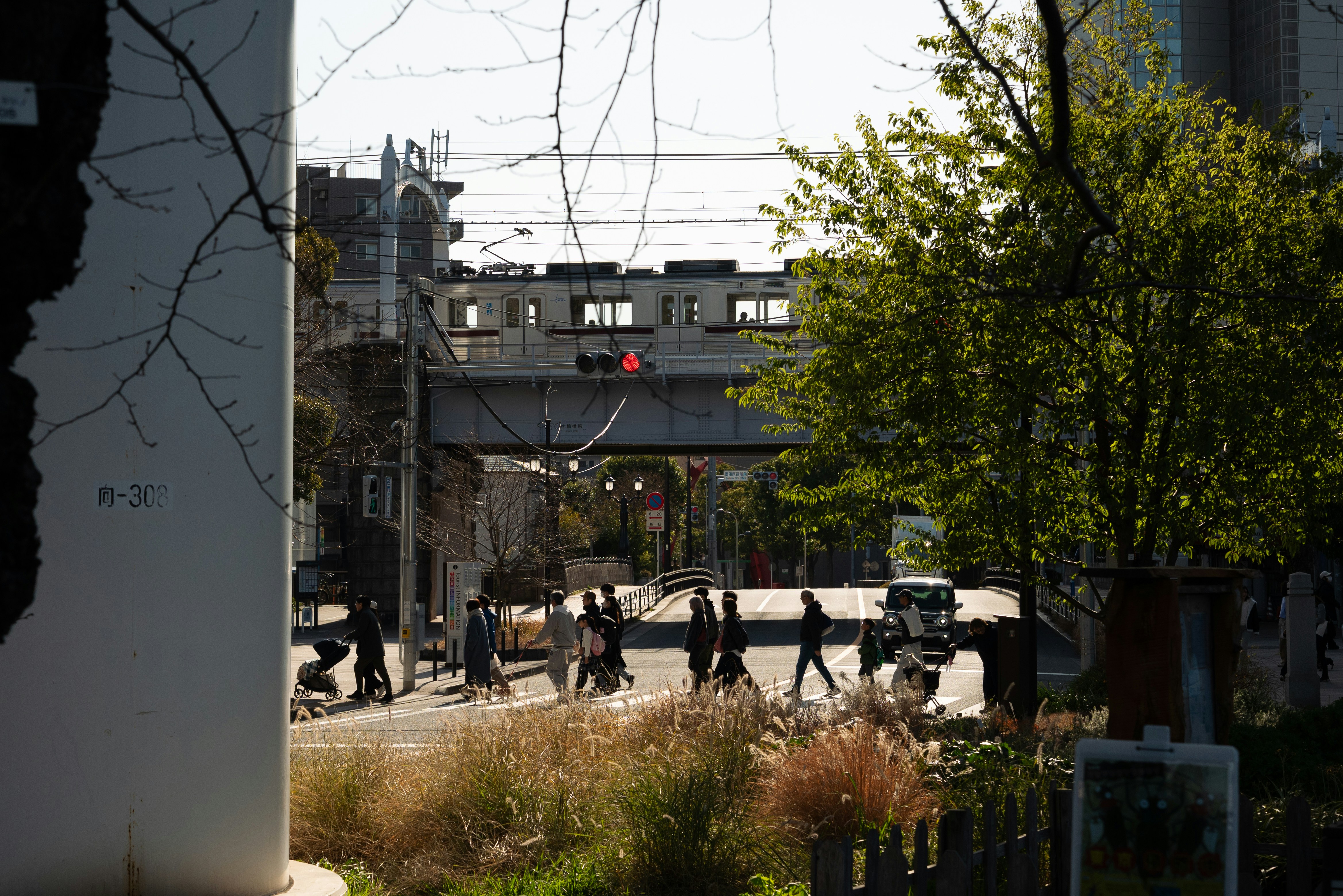 Crossing in the Urban Canopy