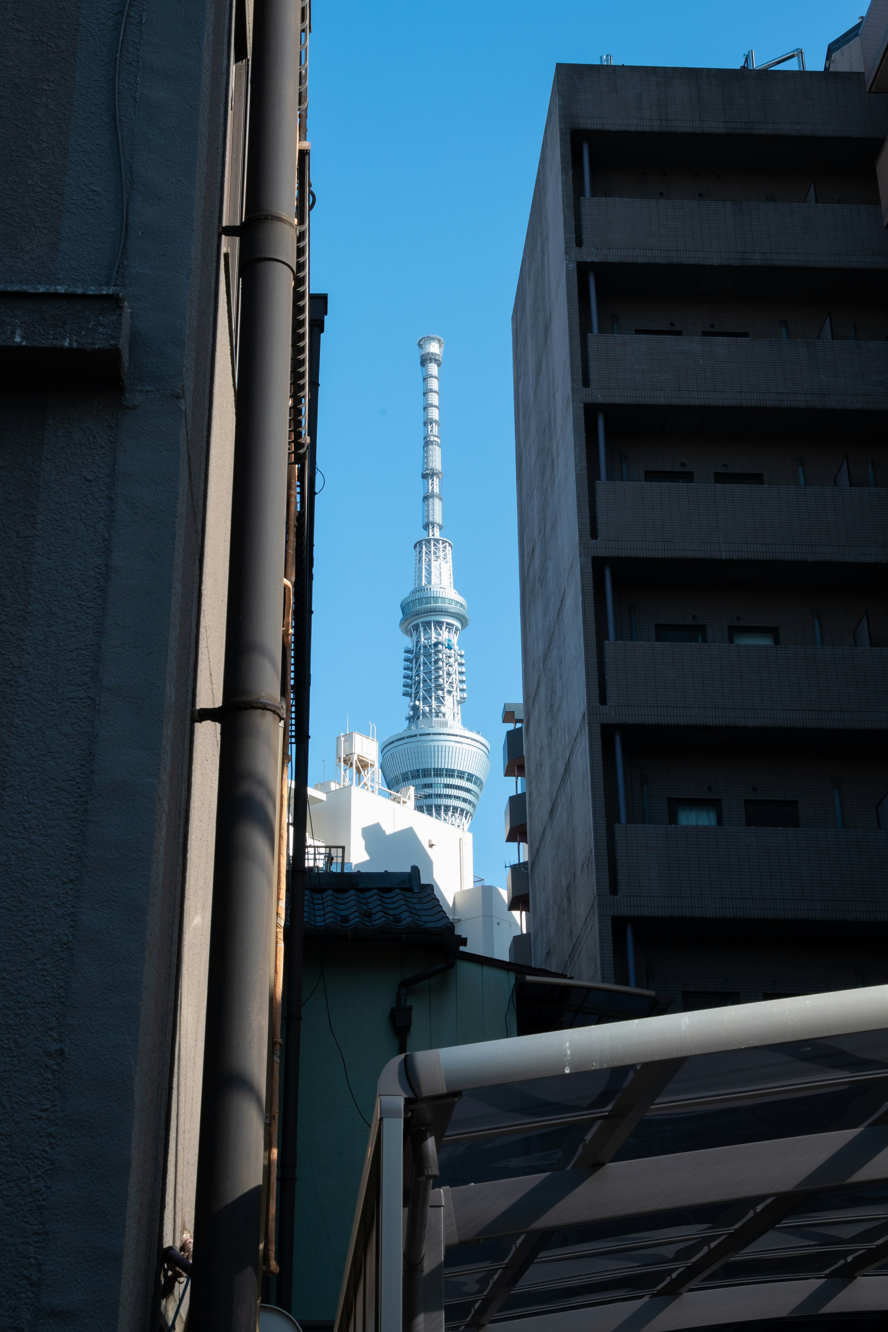 Emergence of Tokyo Skytree Beyond Narrow Alleyways