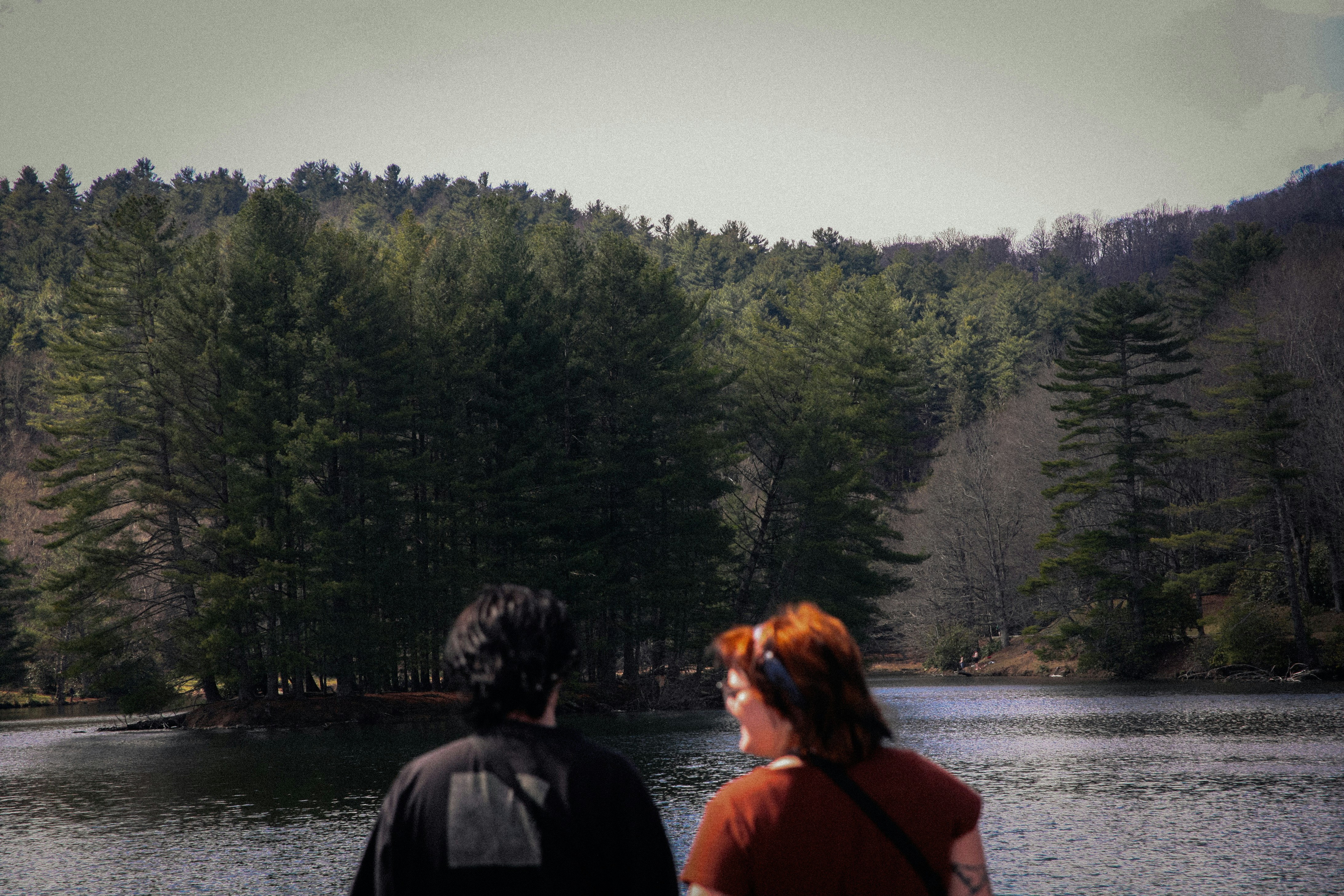 Couple at the Quiet Lake: An Evening by the Pines
