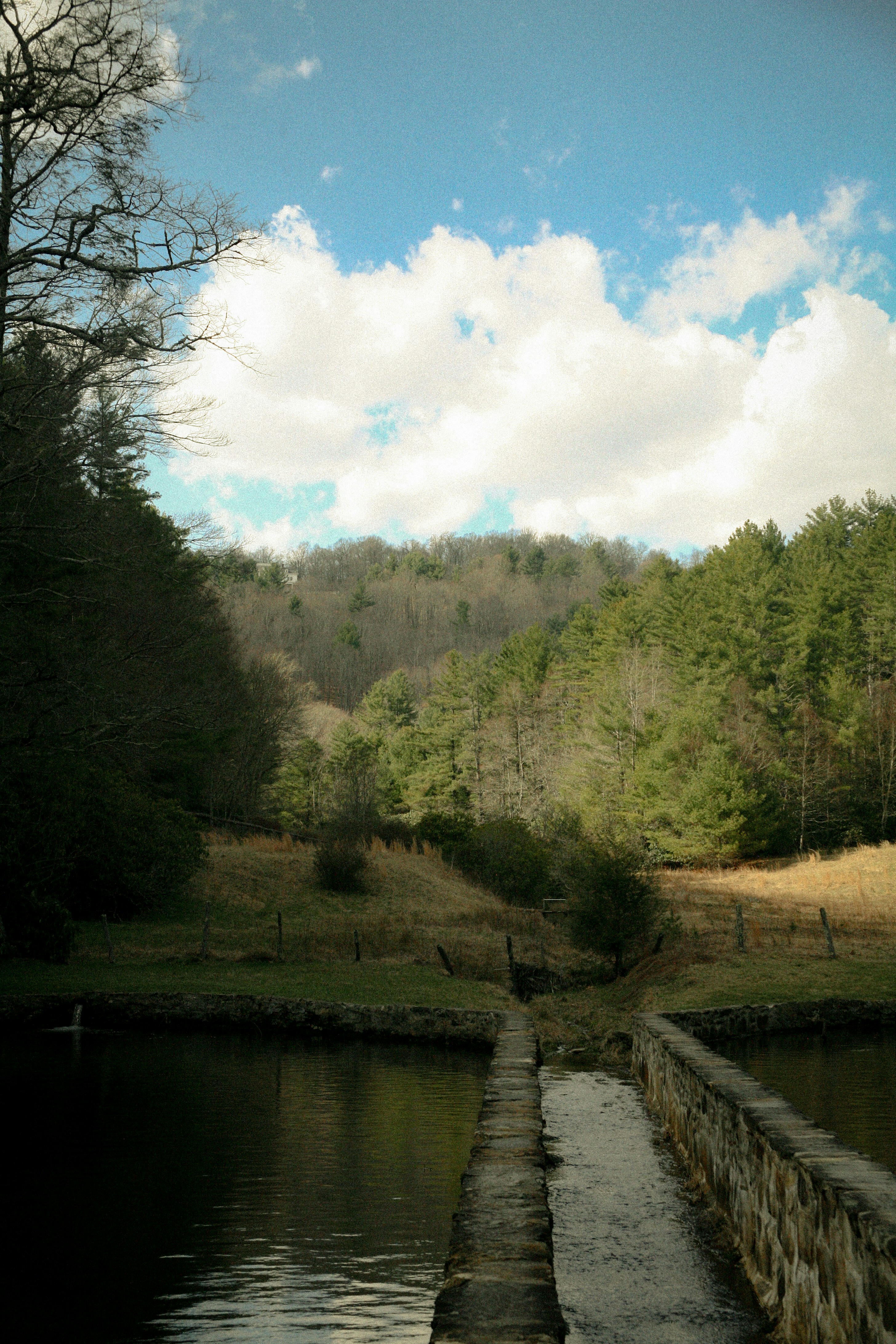 Stone Path to the Quiet Vales