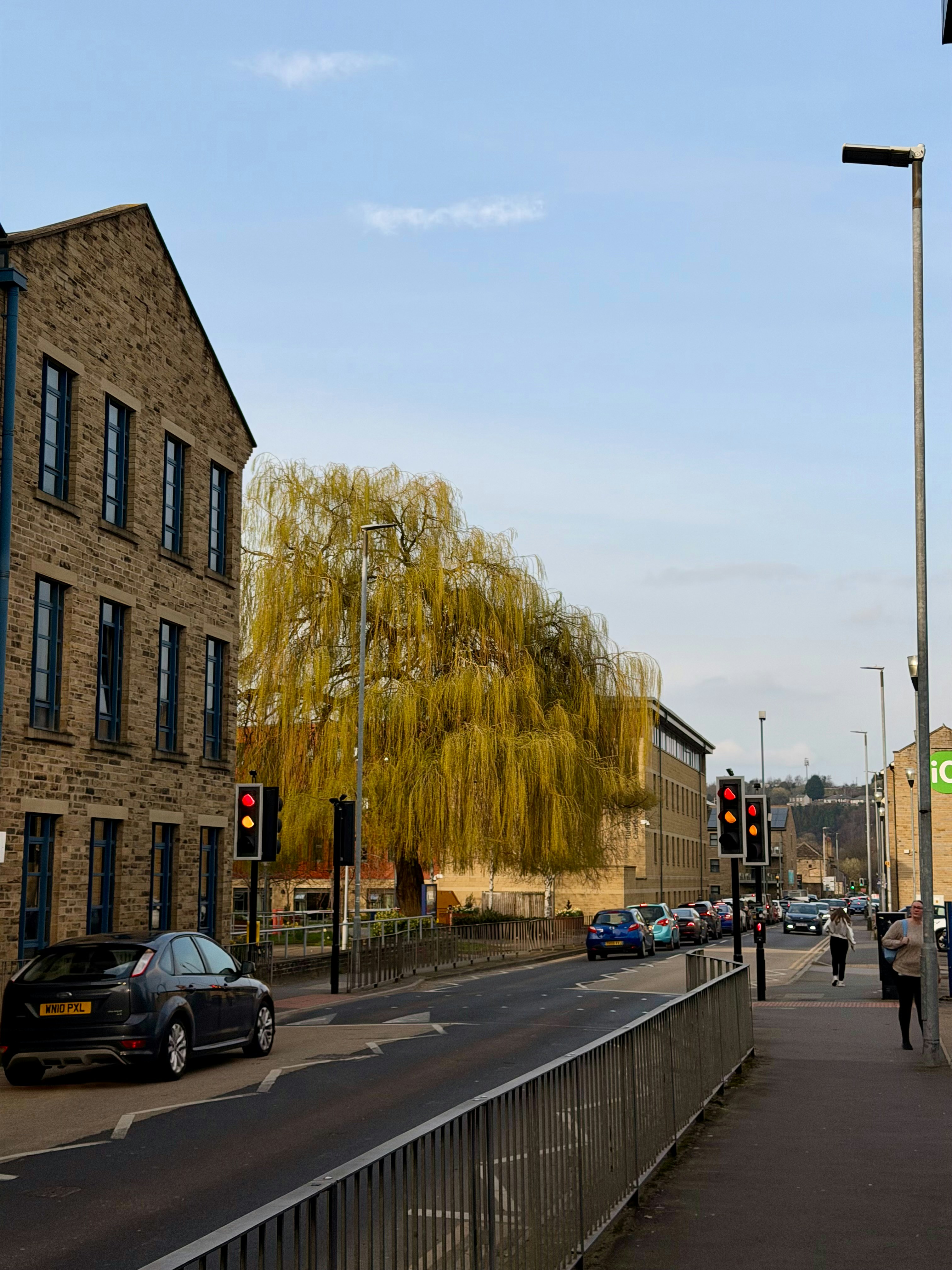 Willow in the Riverside Street