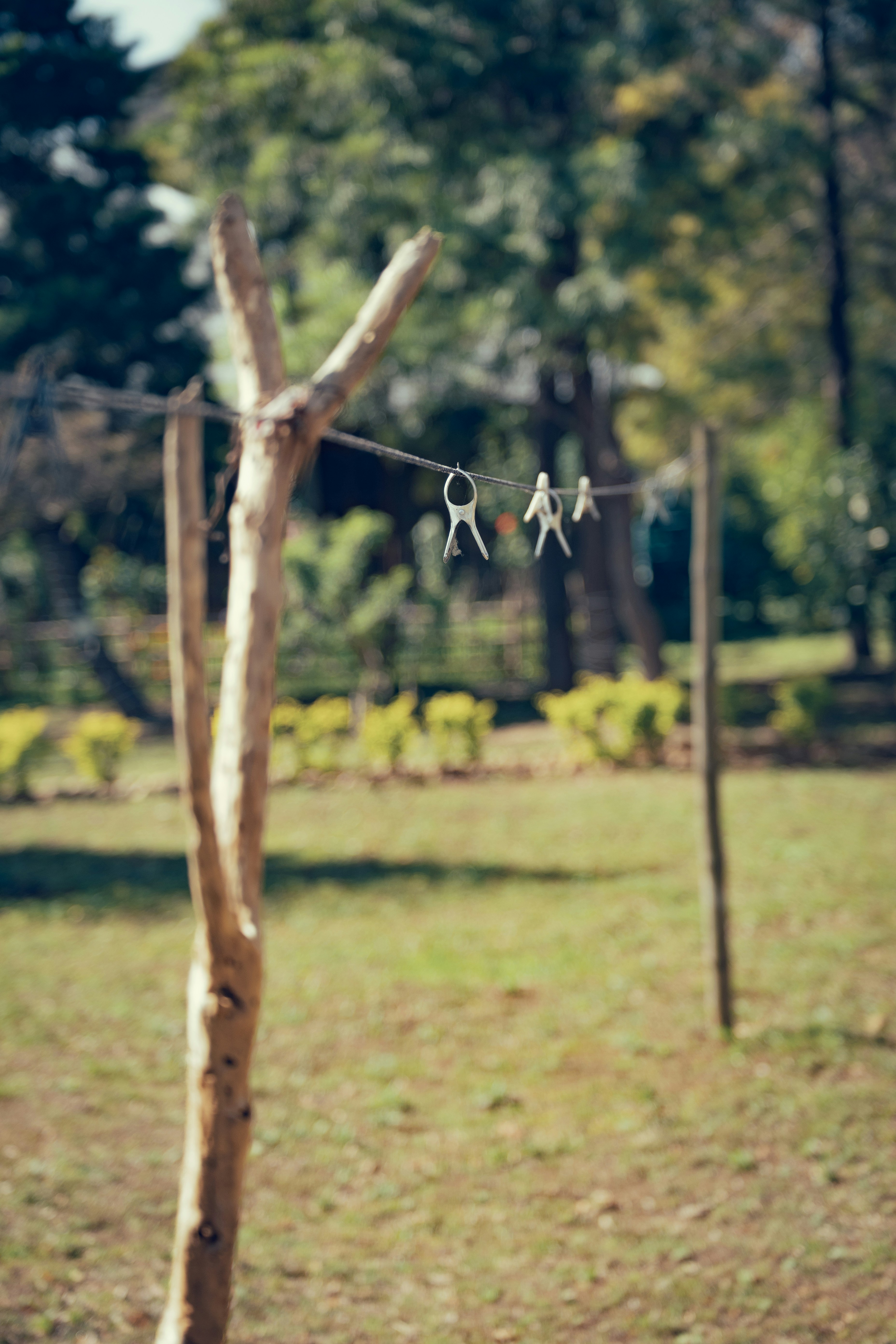 Clothesline Portrait in Soft Morning Light