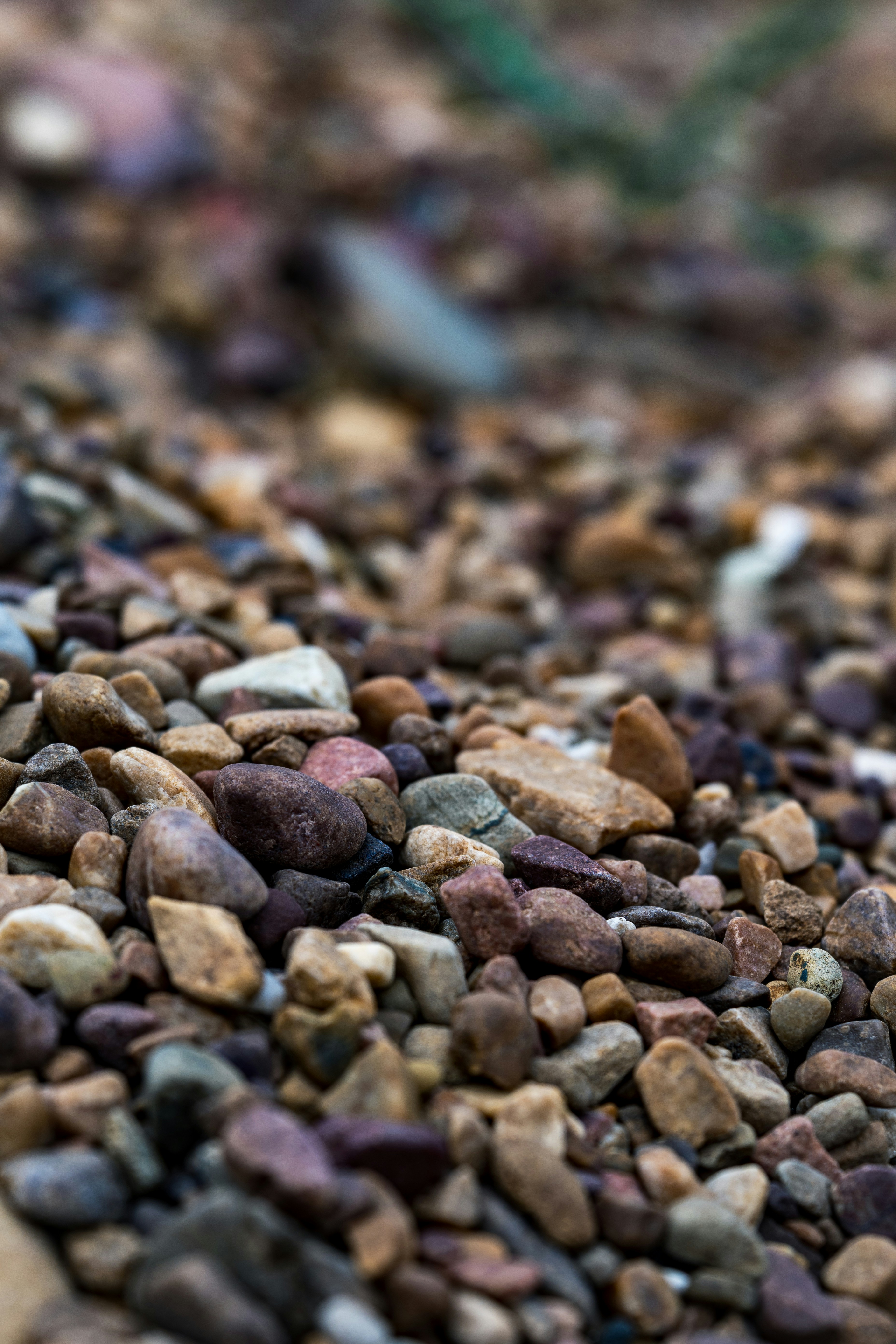 Pebble Mosaic: A Quiet Close-Up on Ground-Soil Color