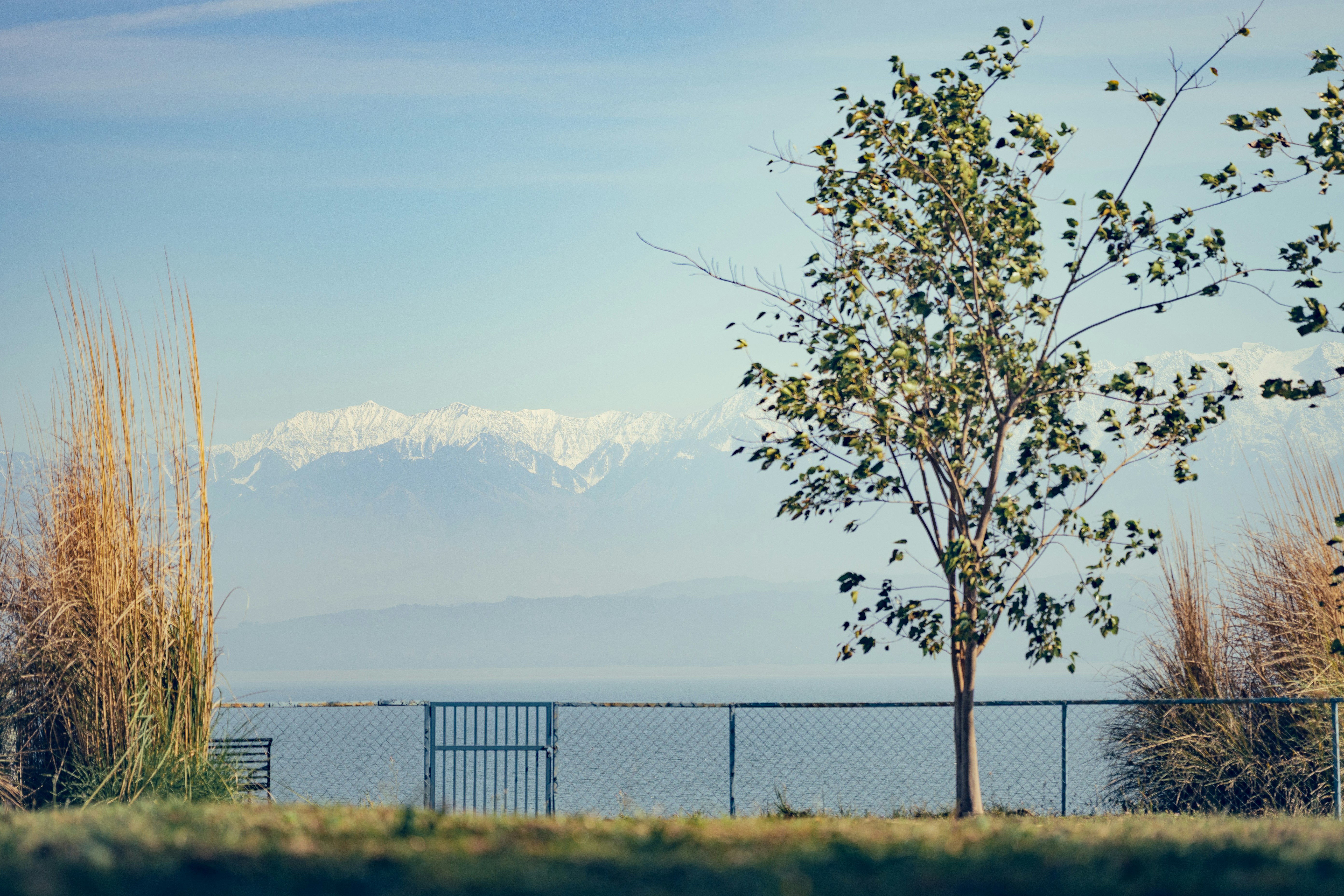 Lakeside Verge: A Quiet View Toward the Snowy Range