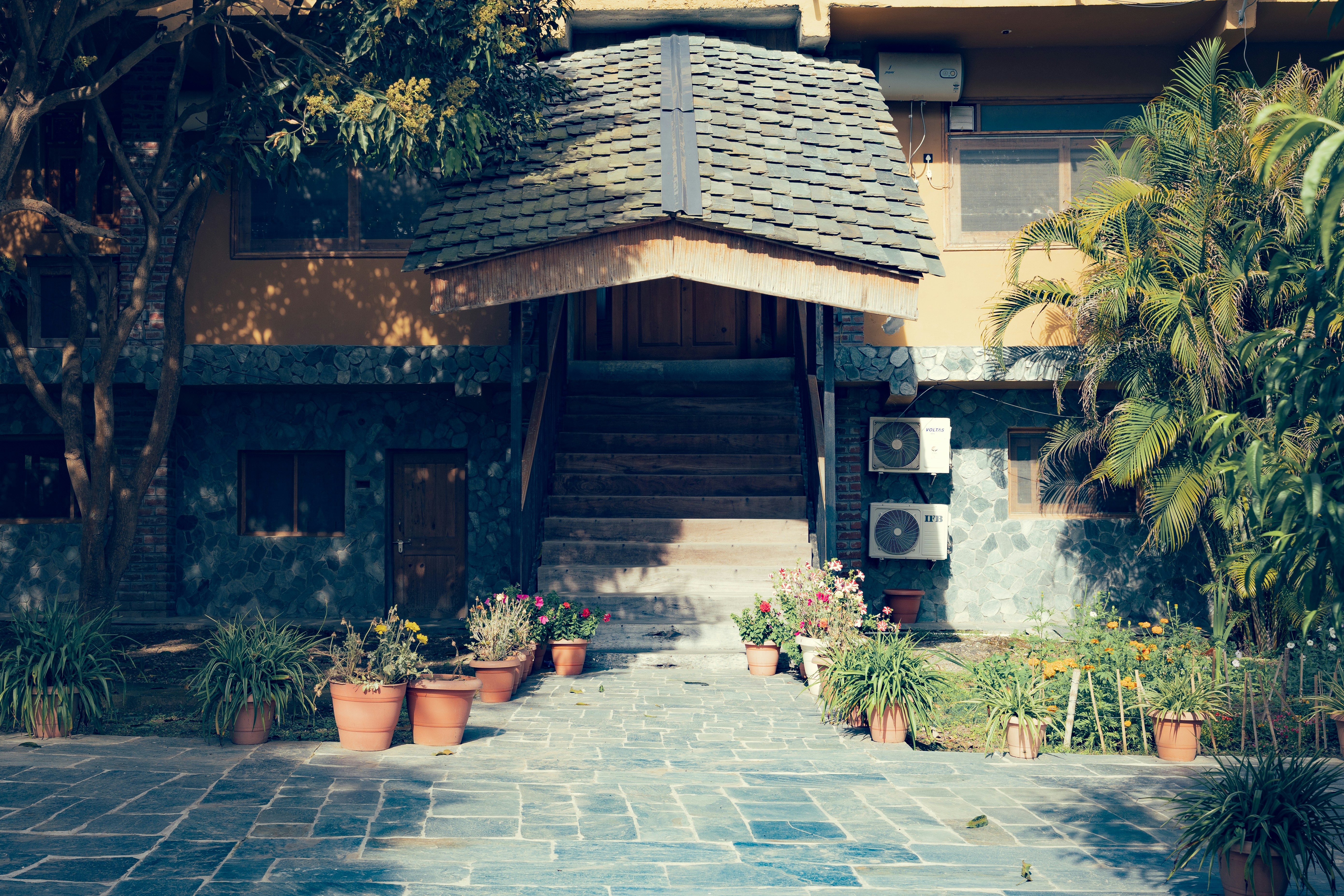 Stairway to Quiet: A Sunlit Courtyard Call of Pots and Facade