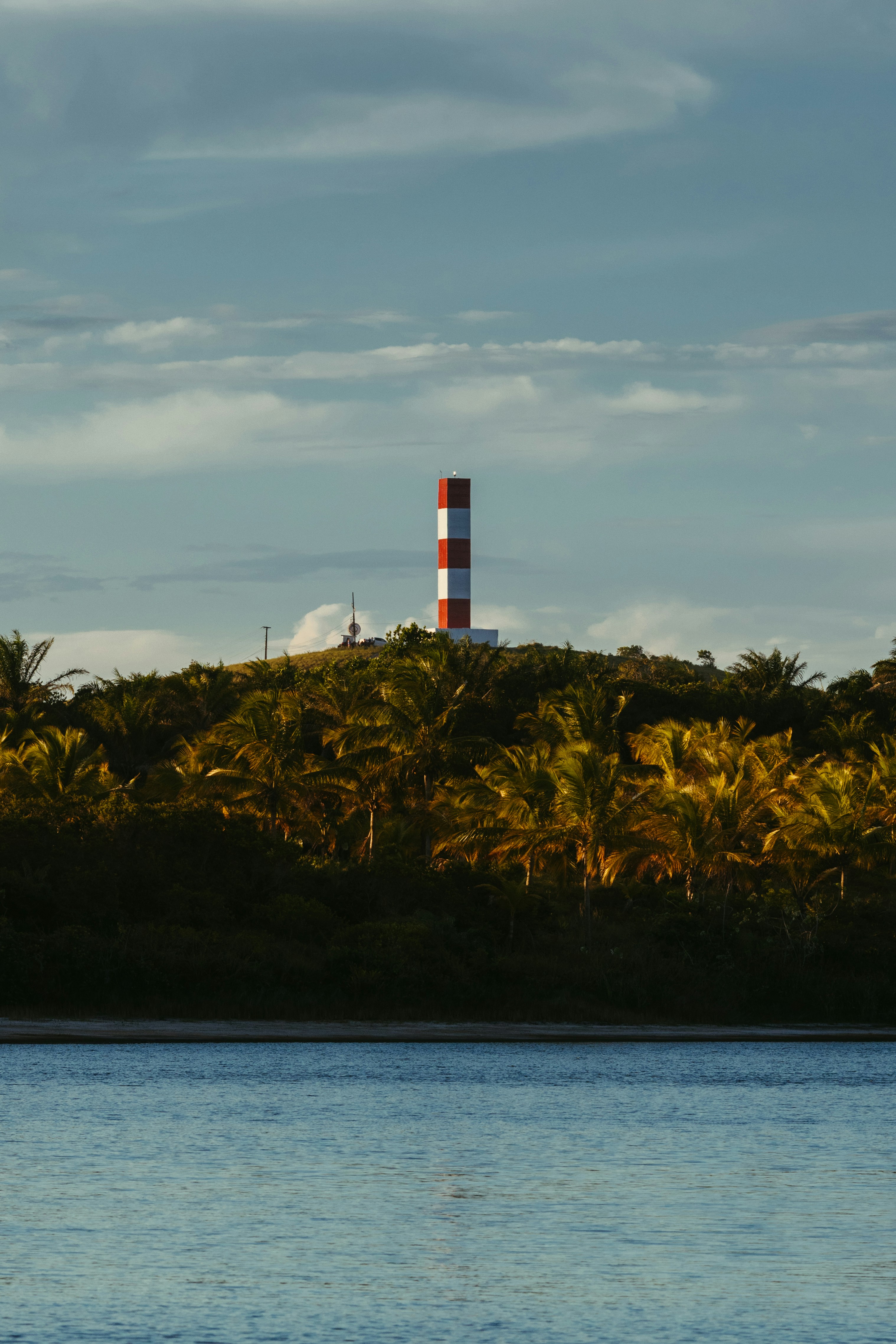 Red-and-White Beacon Above Palmetto Pines