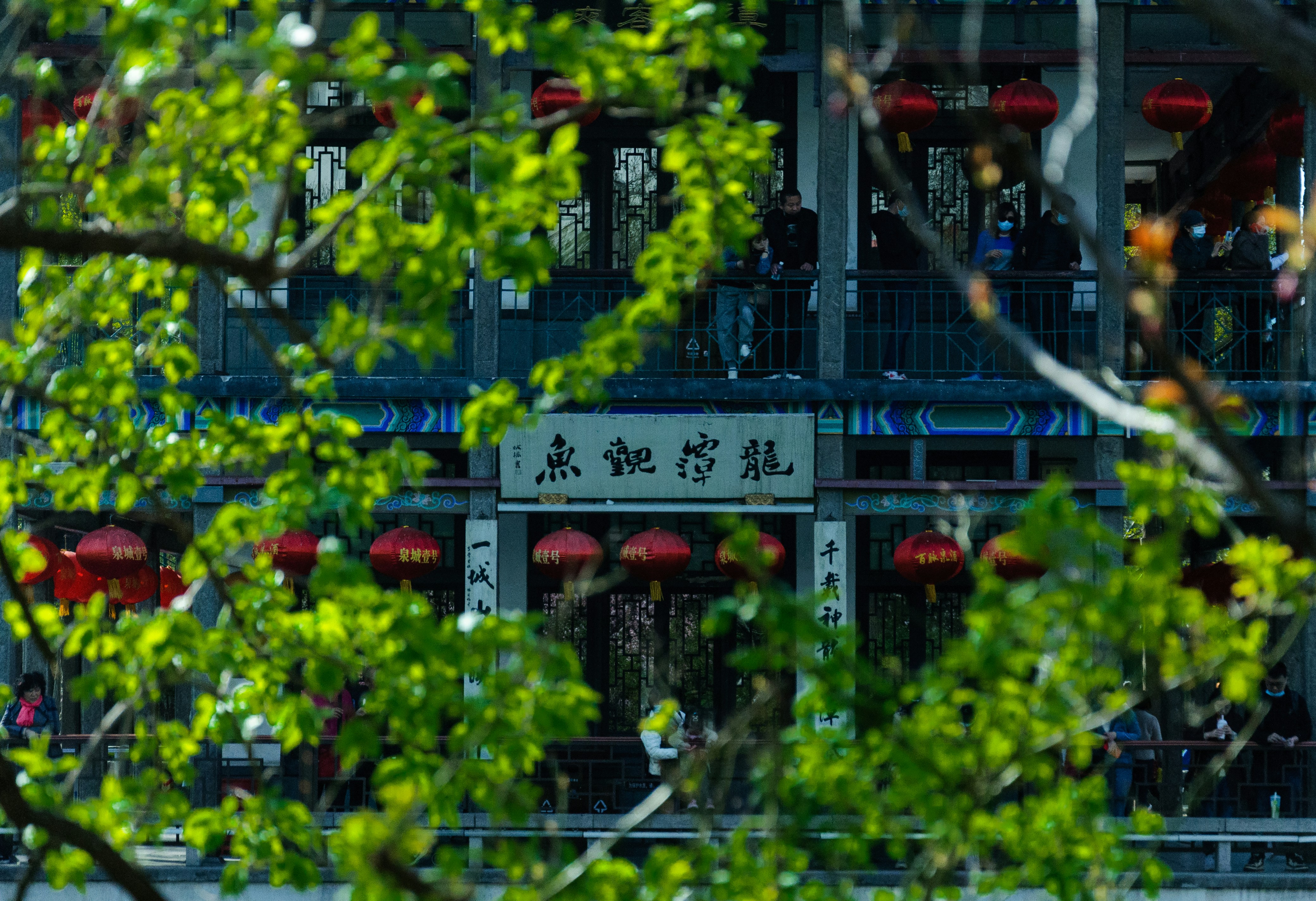 Lantern-lit Courtyard Through Framing Foliage