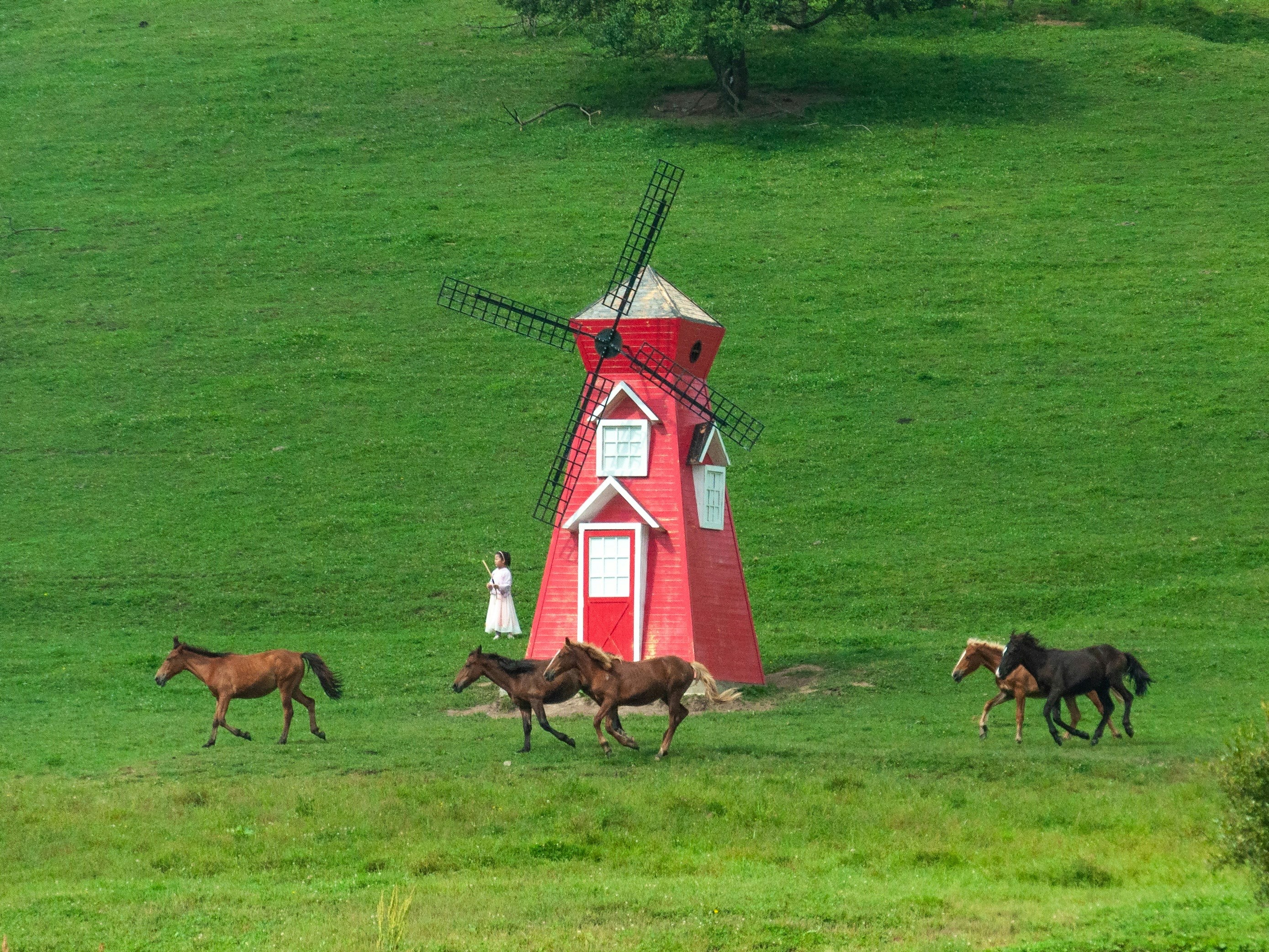 Red Windmill and Galloping Horses on a Green Crest