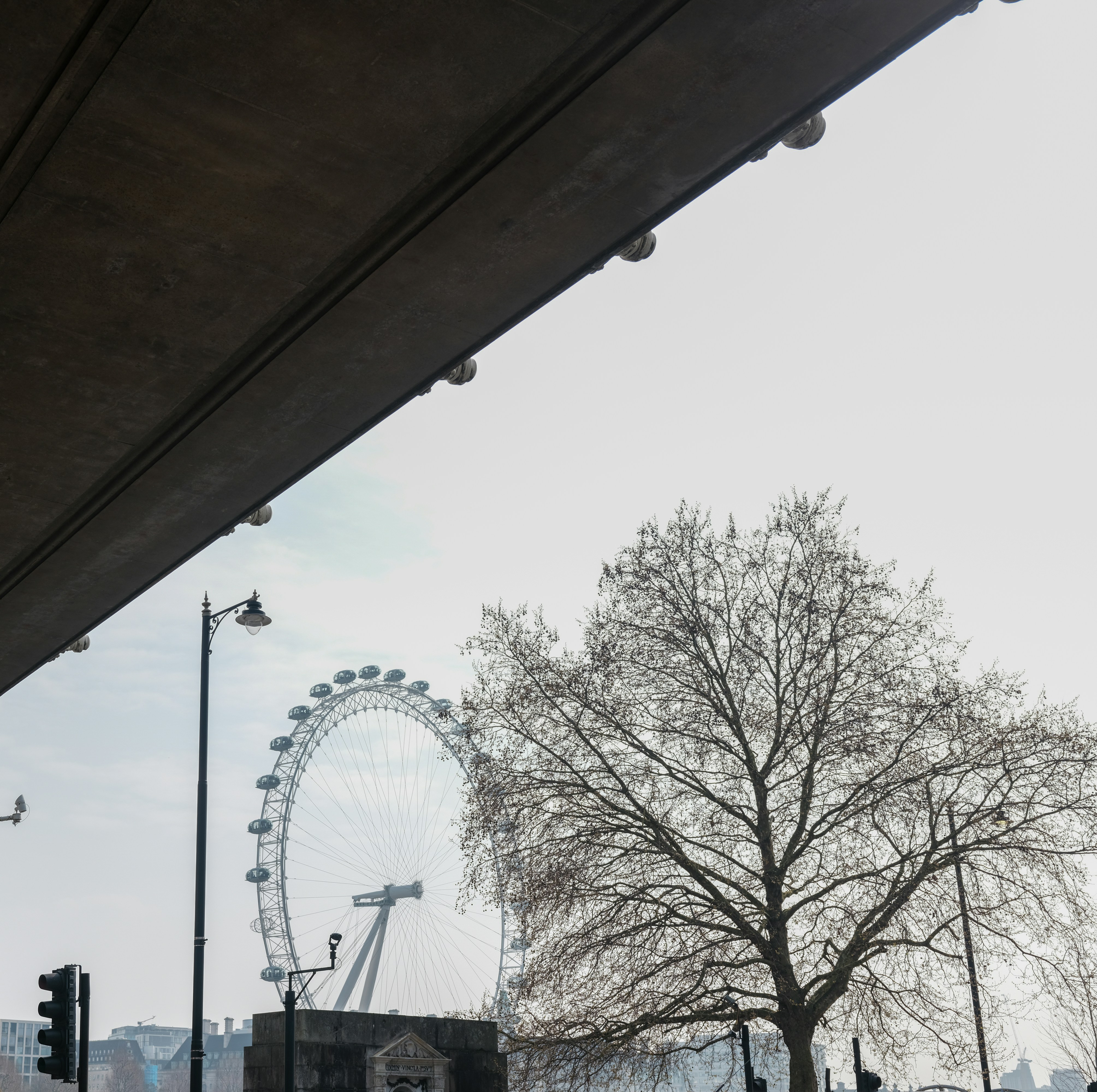 Under the Bridge of Light: London’s Wheel and Tree in Soft Dusk
