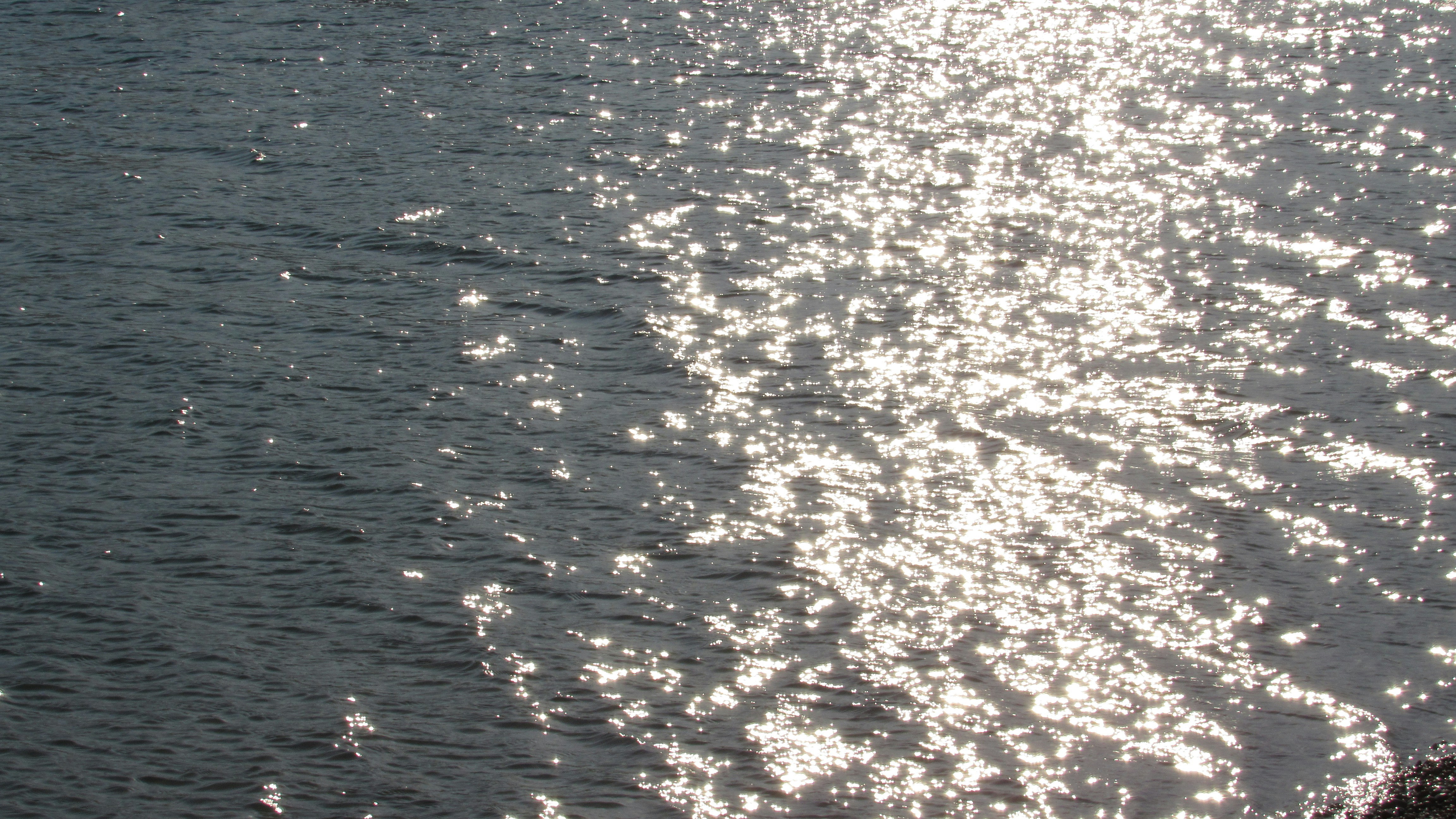 Glimmering Wake: Sunlit Ripples Across Open Water