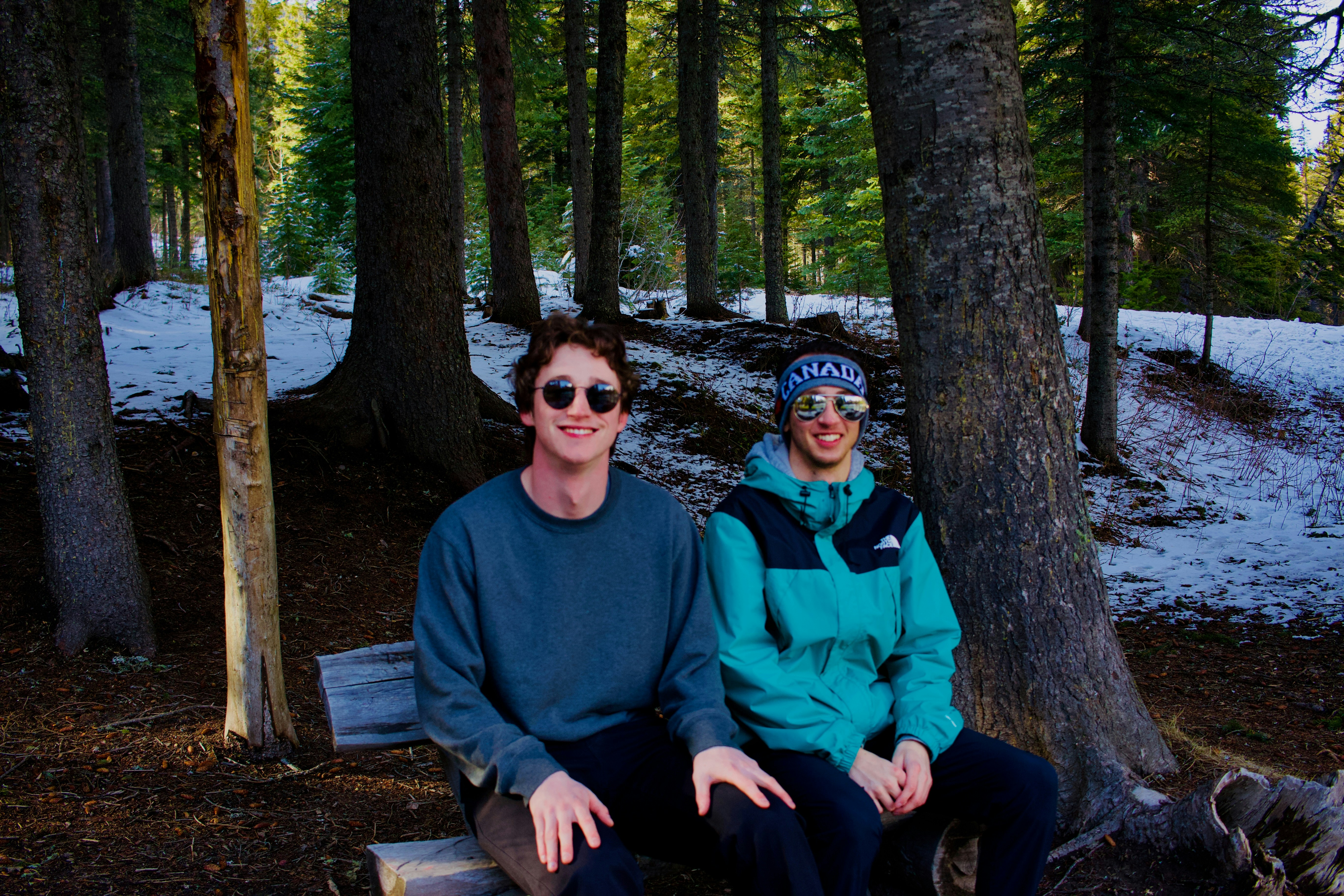 Forest Bench Companions in Winter Light