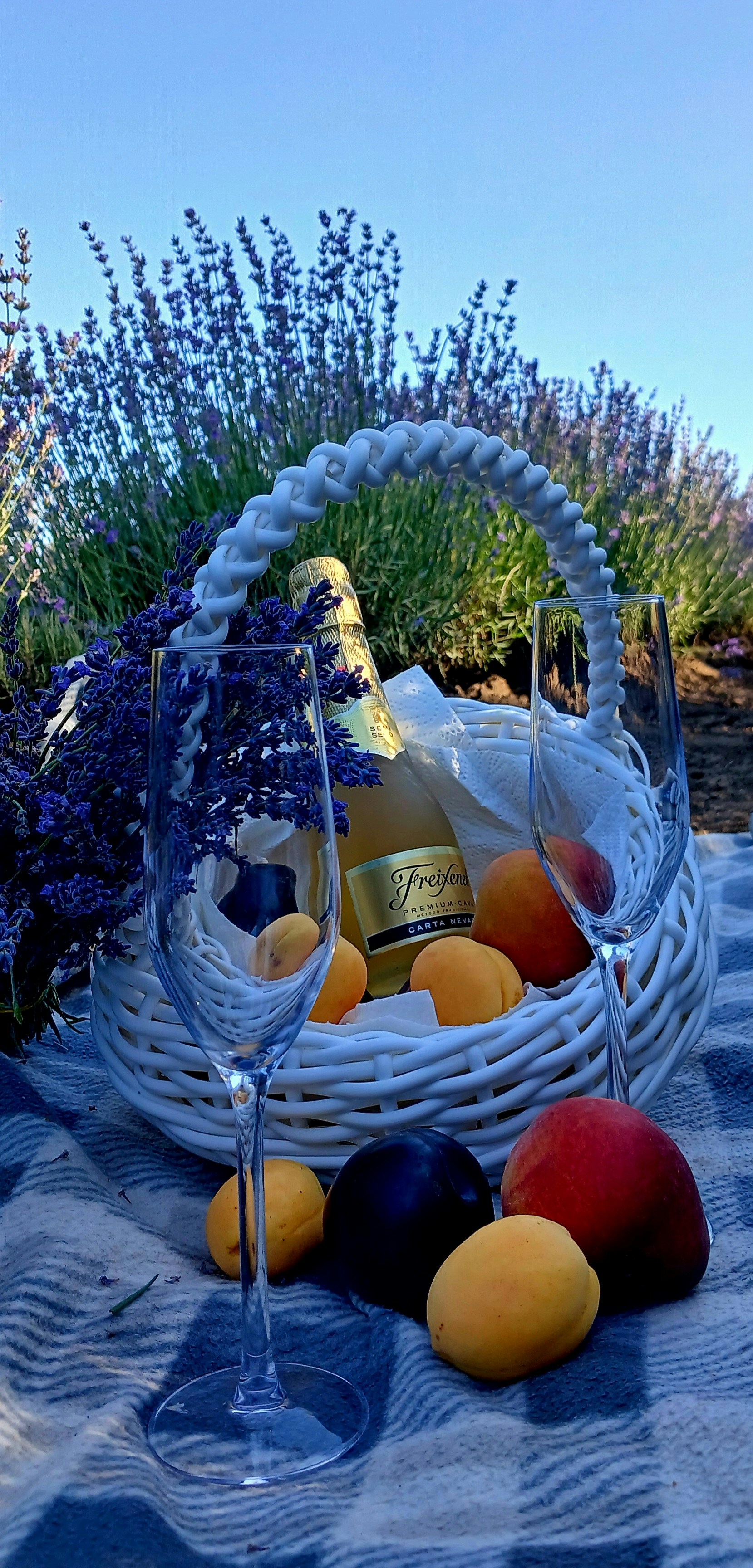 Lavender Picnic: Sparkling Bottle and Basket Under Lavender Skies