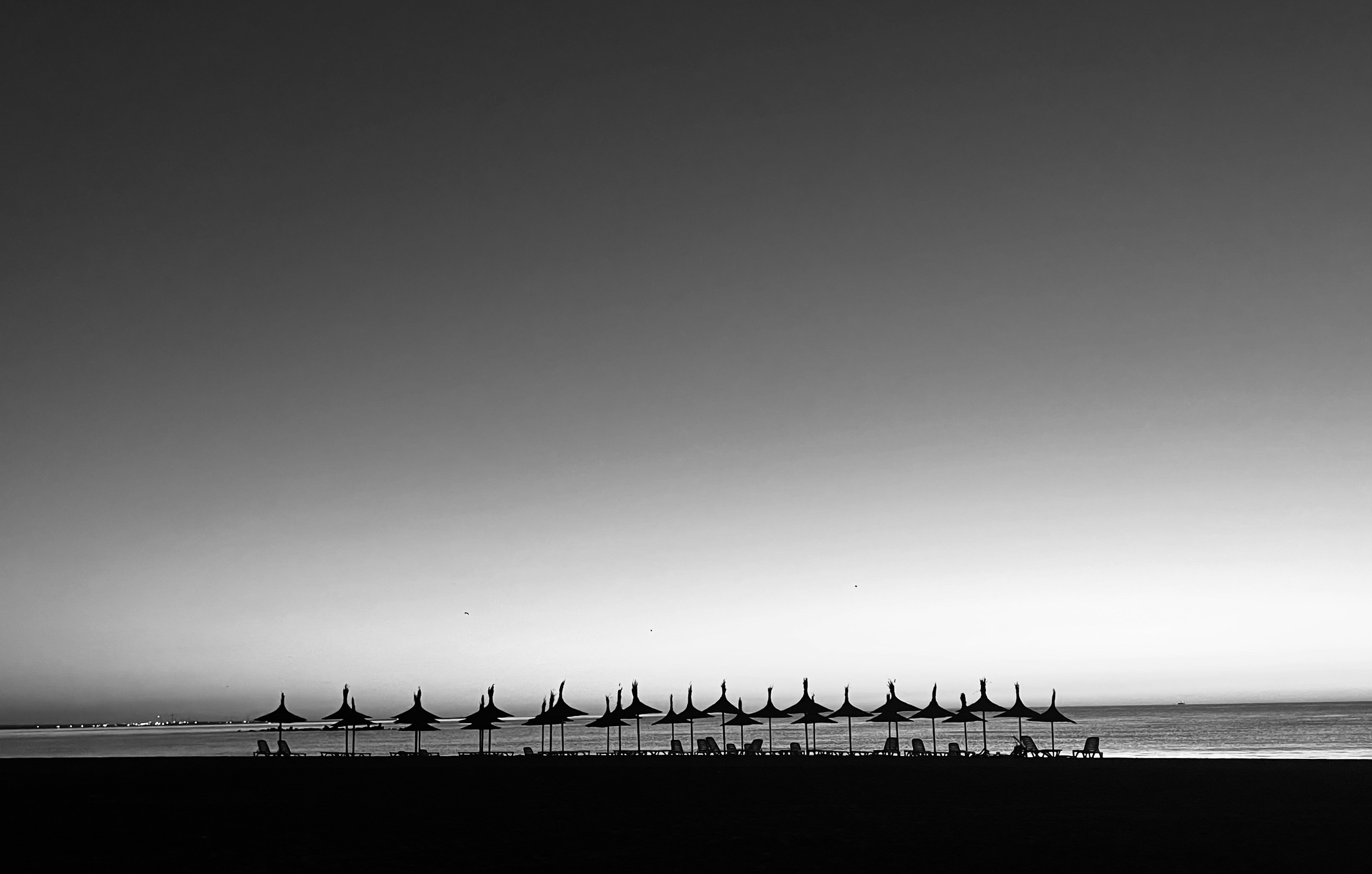 Shoreline Spectral Row: Umbrella Silhouettes at Twilight