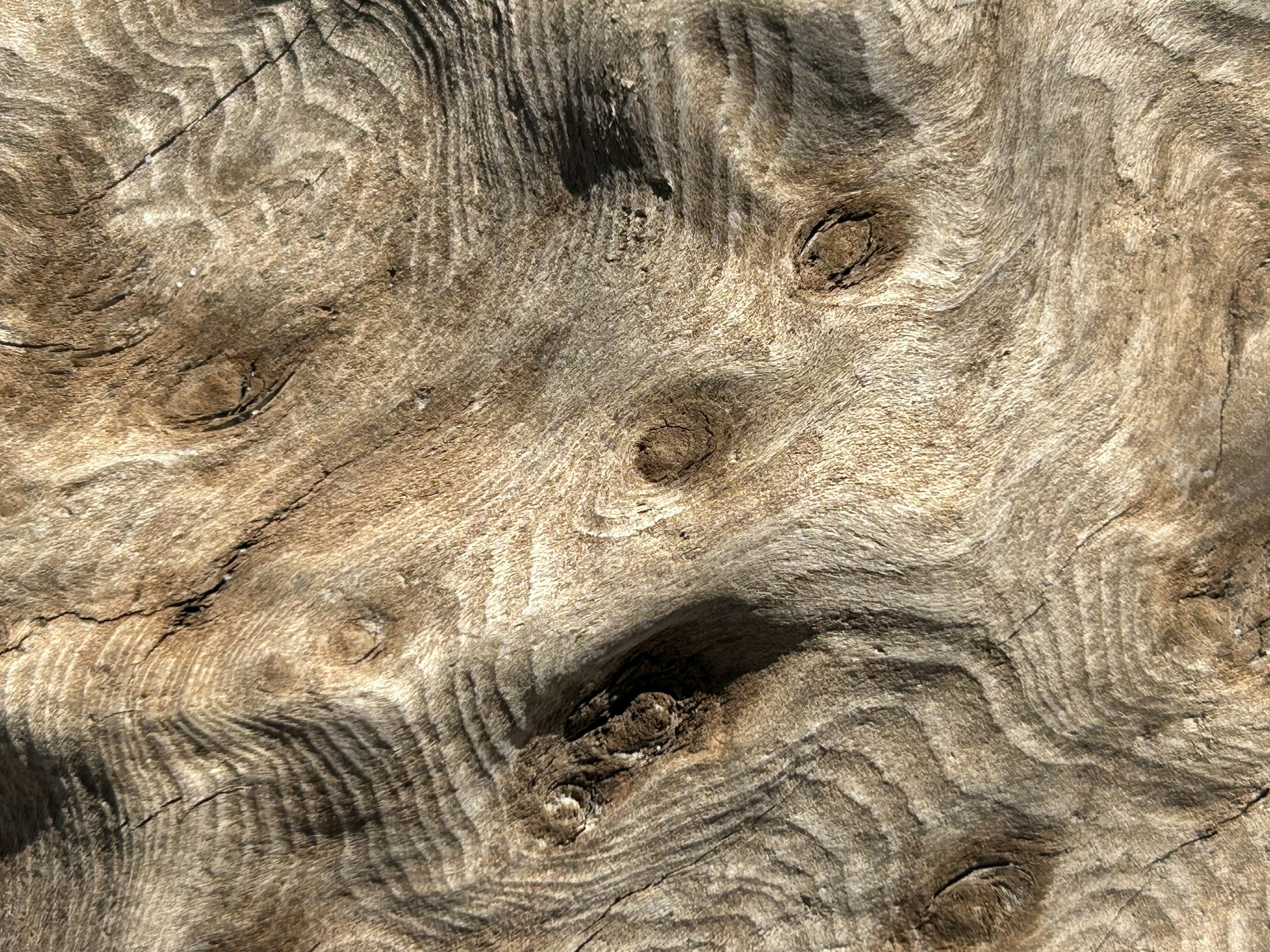 Ridges and Orbs: Close-up Pattern of Weathered Wood Knots