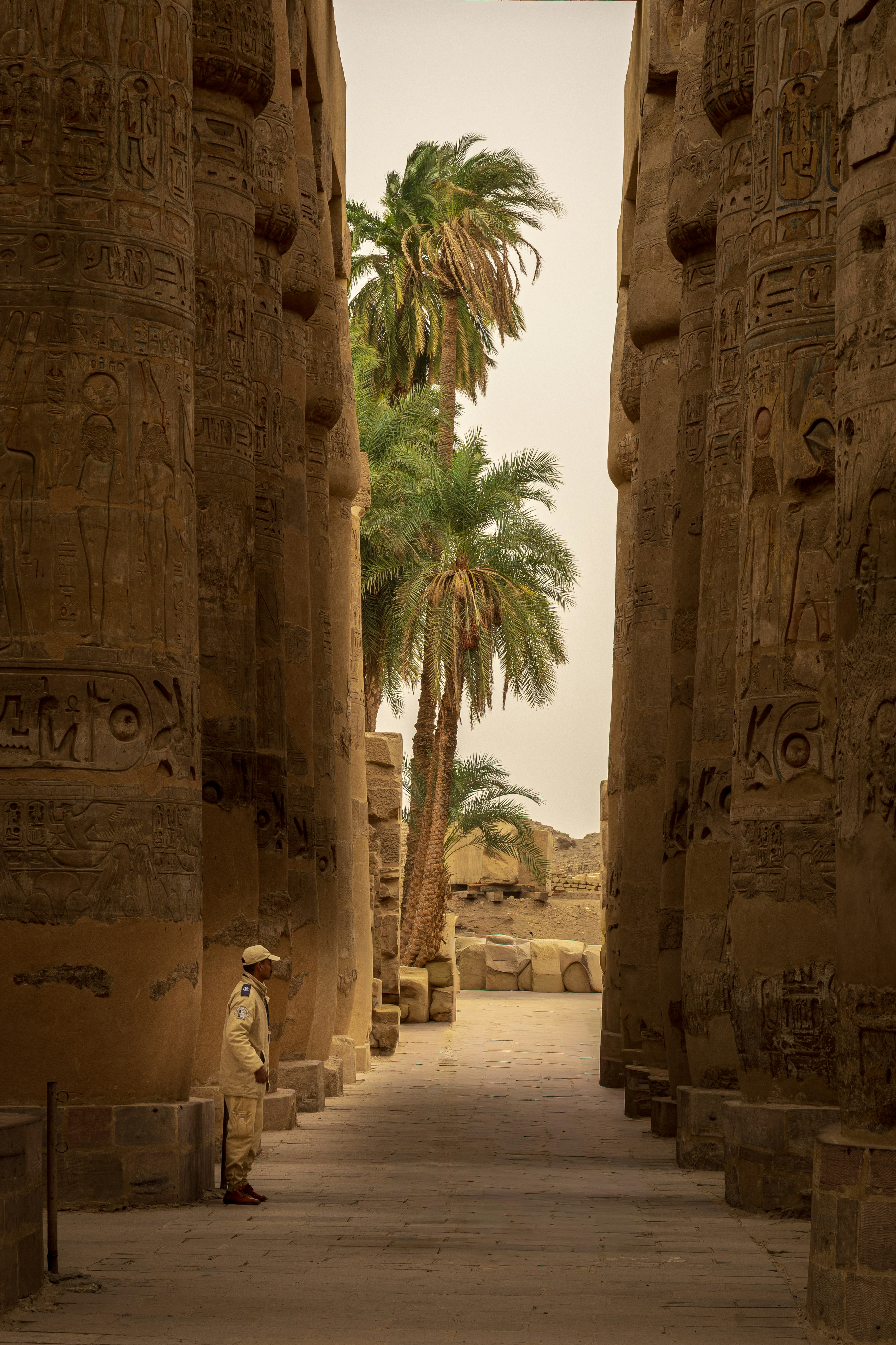Palm Tree Trace Through Carved Colonnades