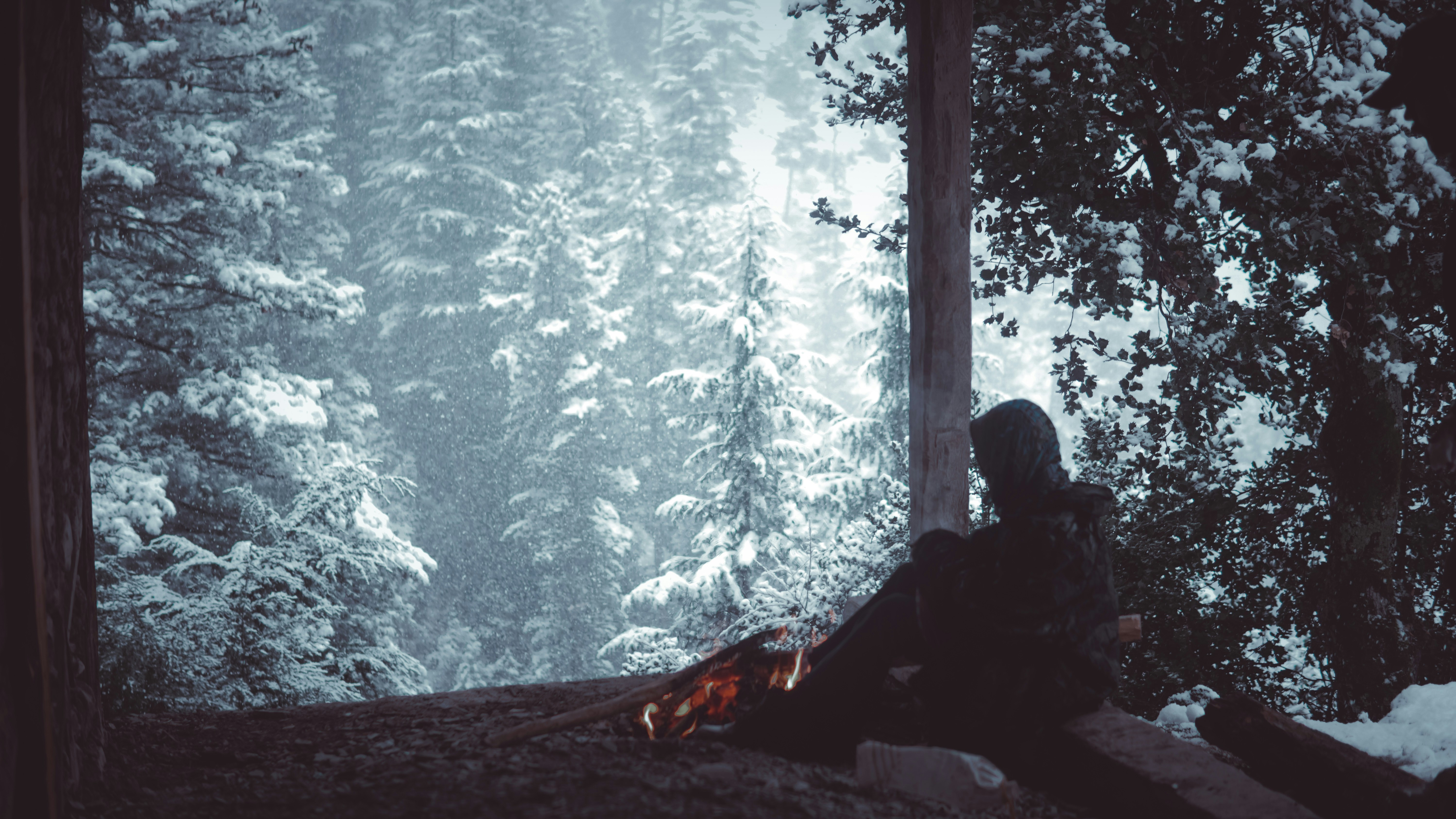 Winter Refuge: A Silent Figure by the Firelight