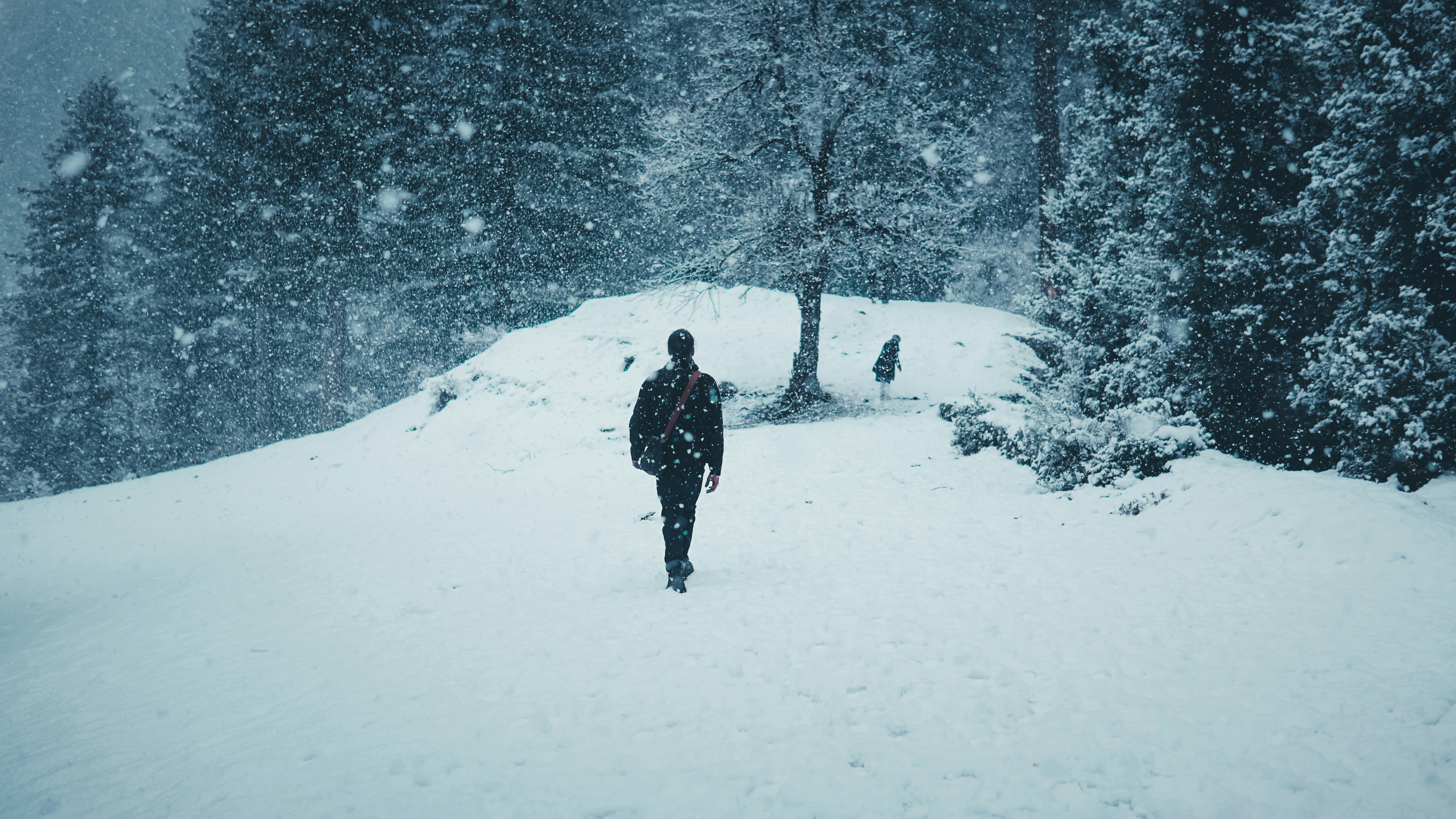 Snowbound Path: Lone Traveller Through a Quiet White Forest