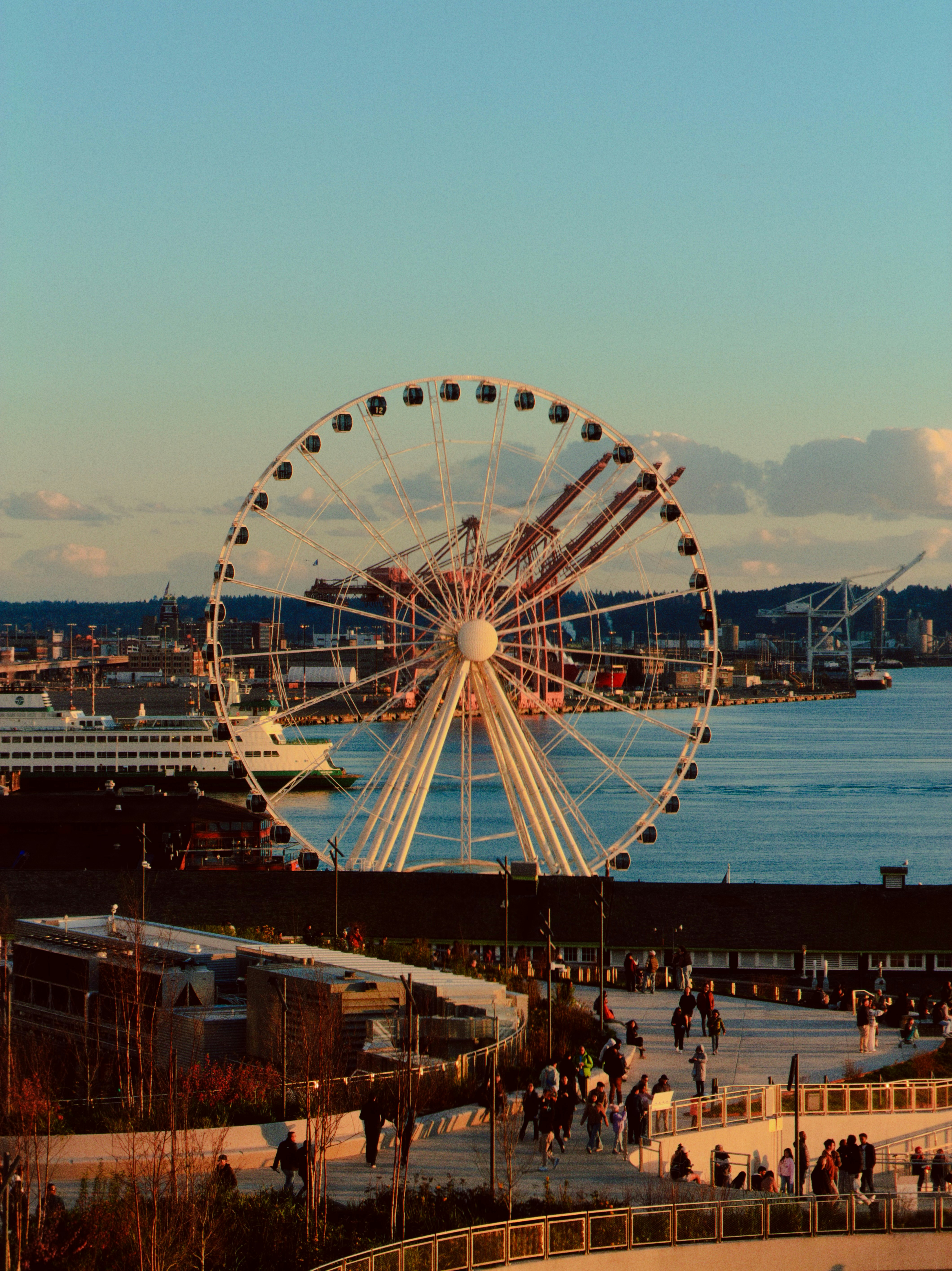 Neon Ring Over the Waterfront