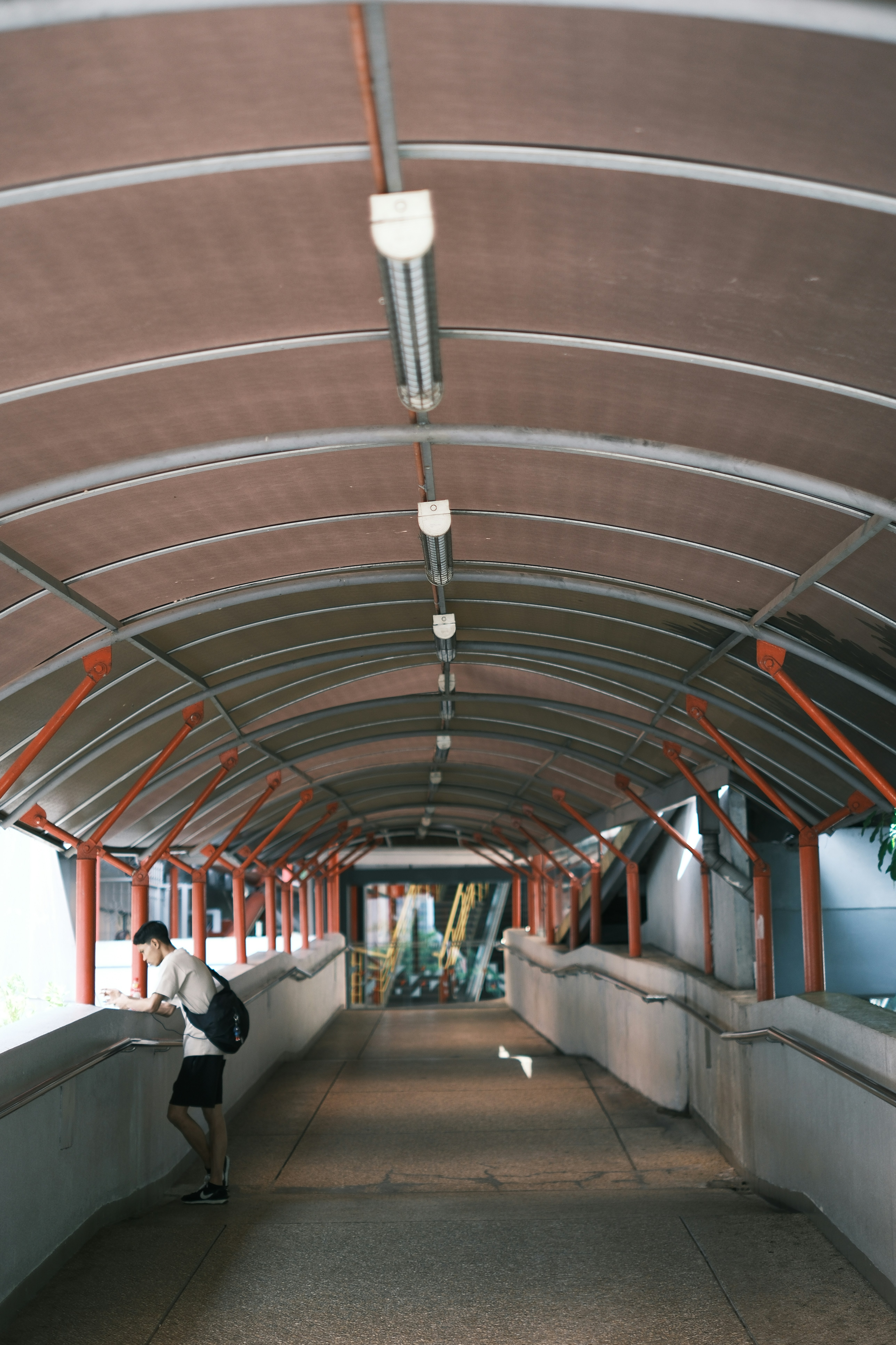 Crossing the Tunnel: A Quiet Walk Beneath the Arching Roof