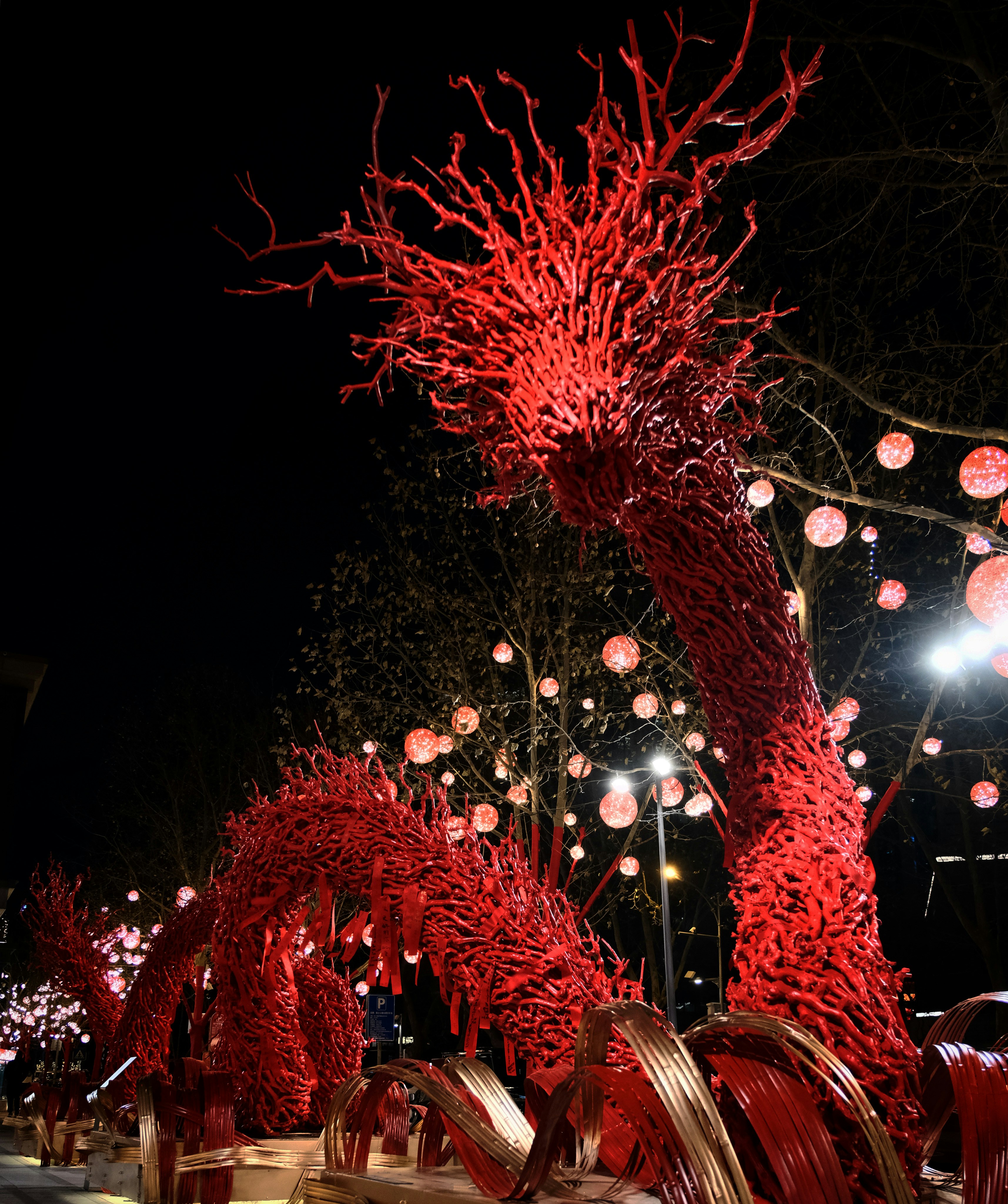 Crimson Rootlines: Night of the Fiber-Red Trees