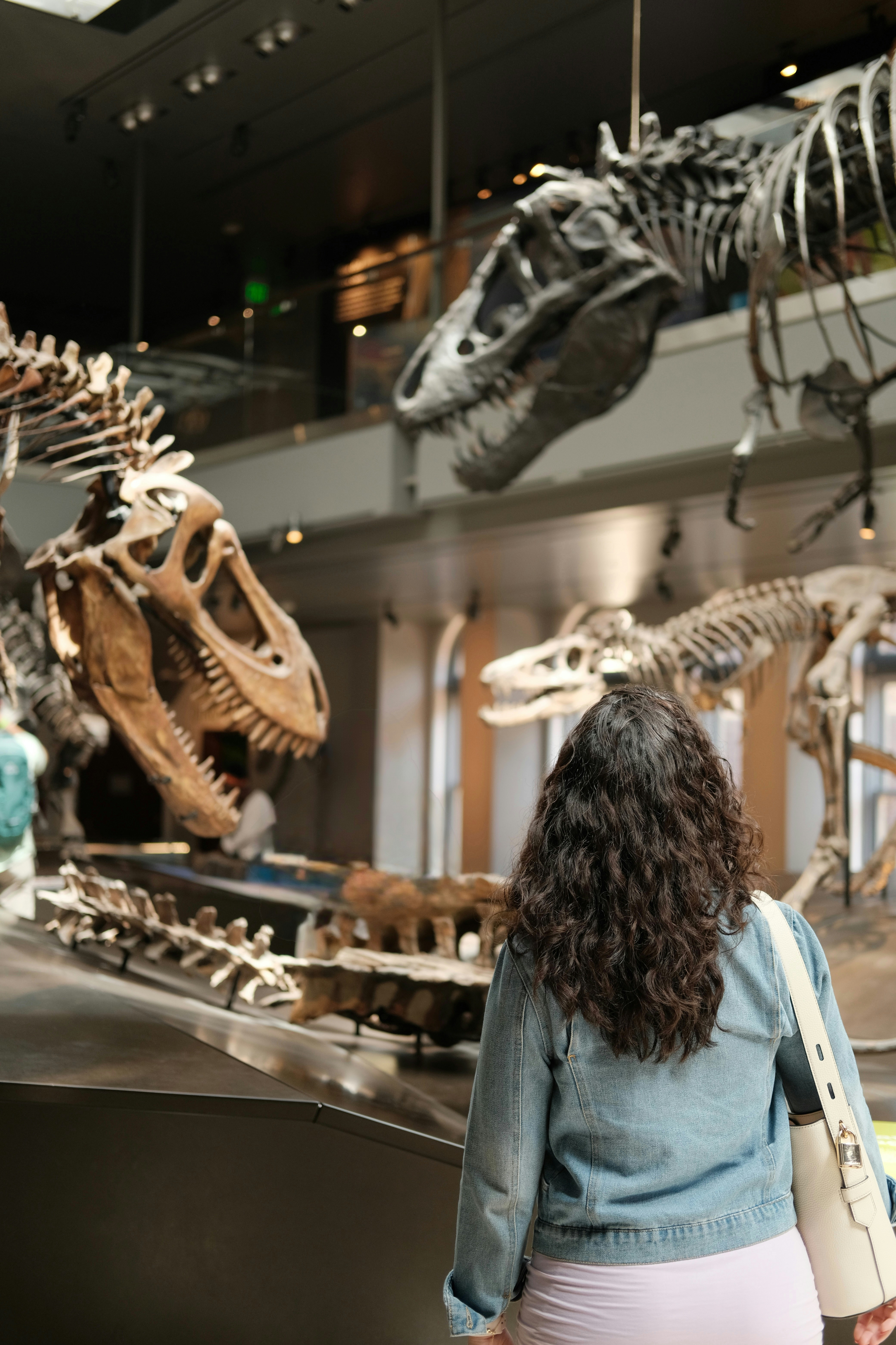 Witnessing Giants: A Visitor at the Dinosaurus Gallery
