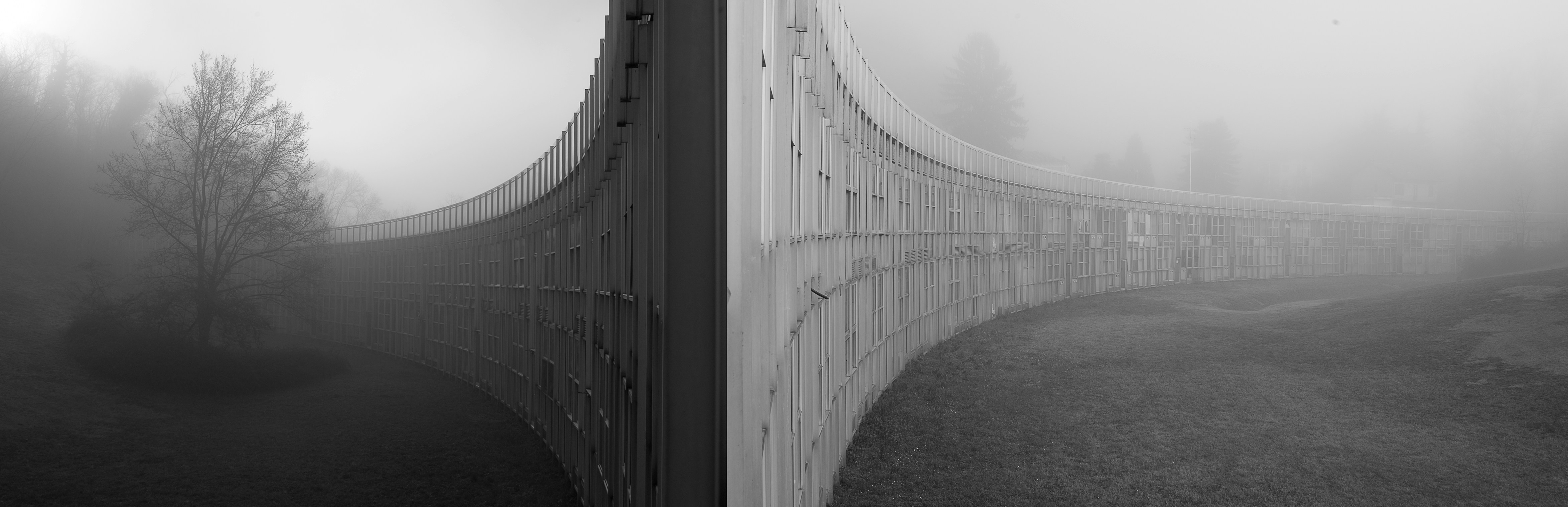 Fogbound Span: A Dual View of a Tranquil Bridge