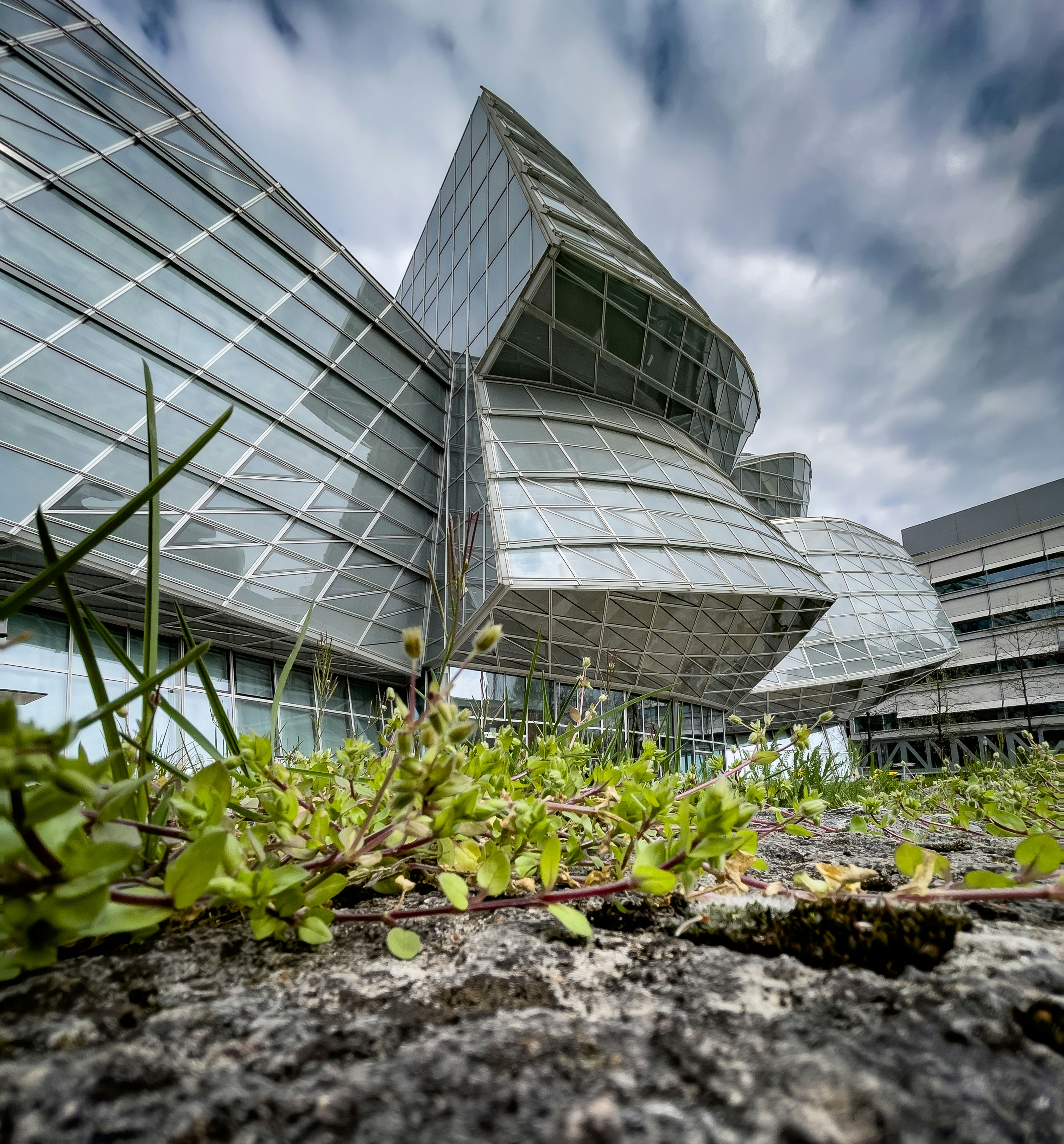 Glass Helix: Architectural Shapes Encasing a Skyward Modern Campus
