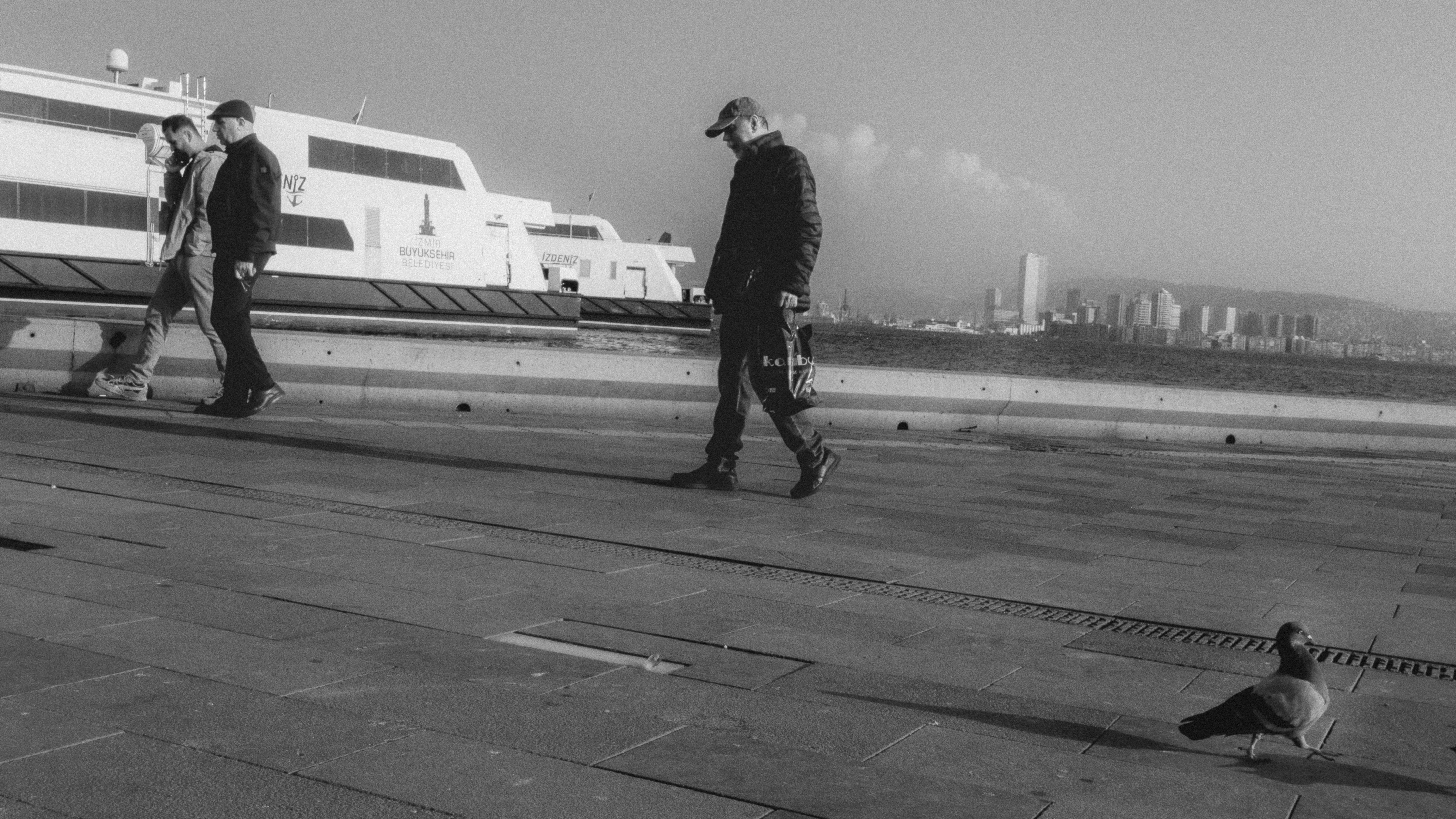 Lonely Sentinel on a Wind-Swept Promenade