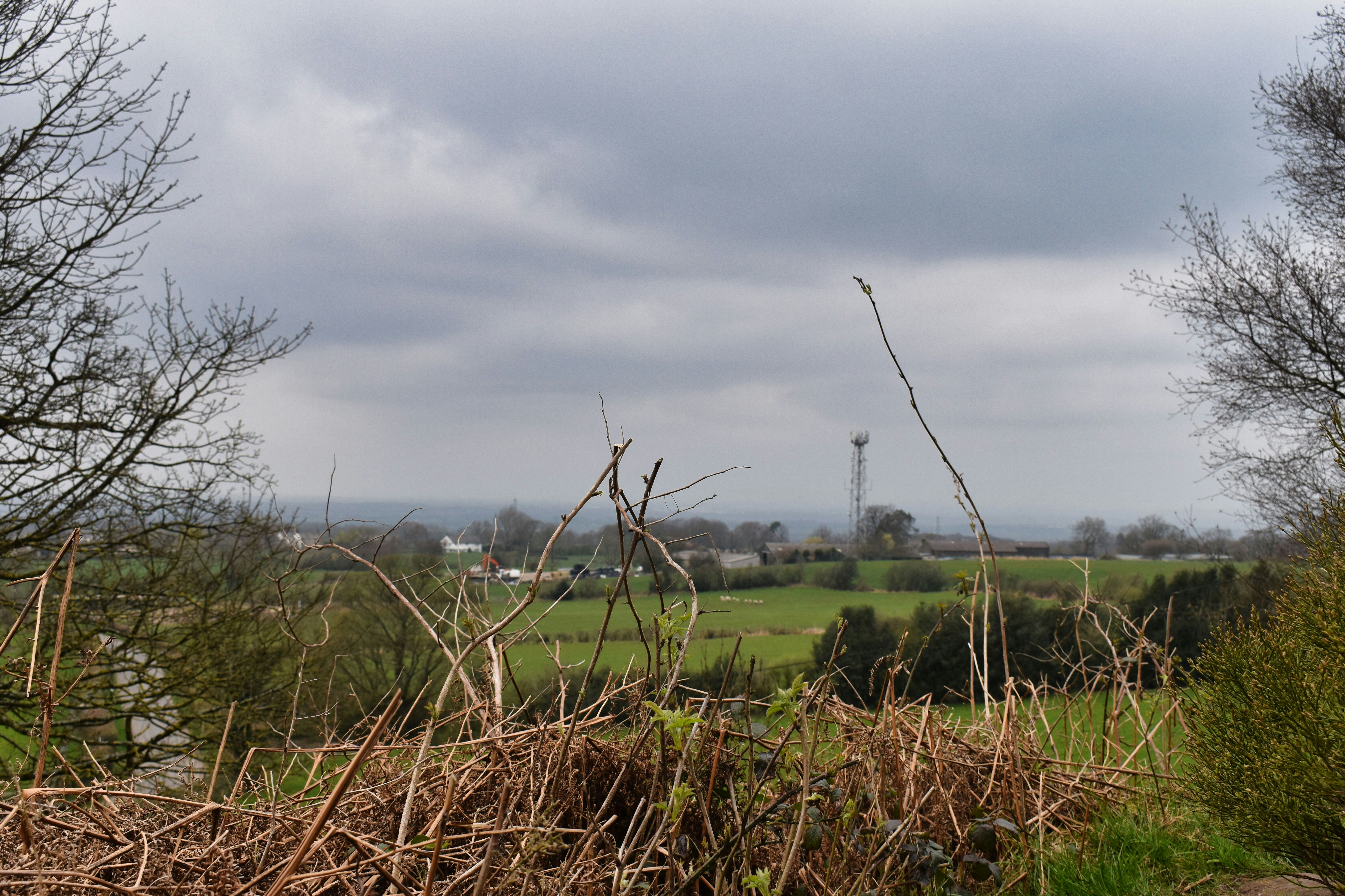 Horizon Highland: Distant Farm in Soft Overcast Light