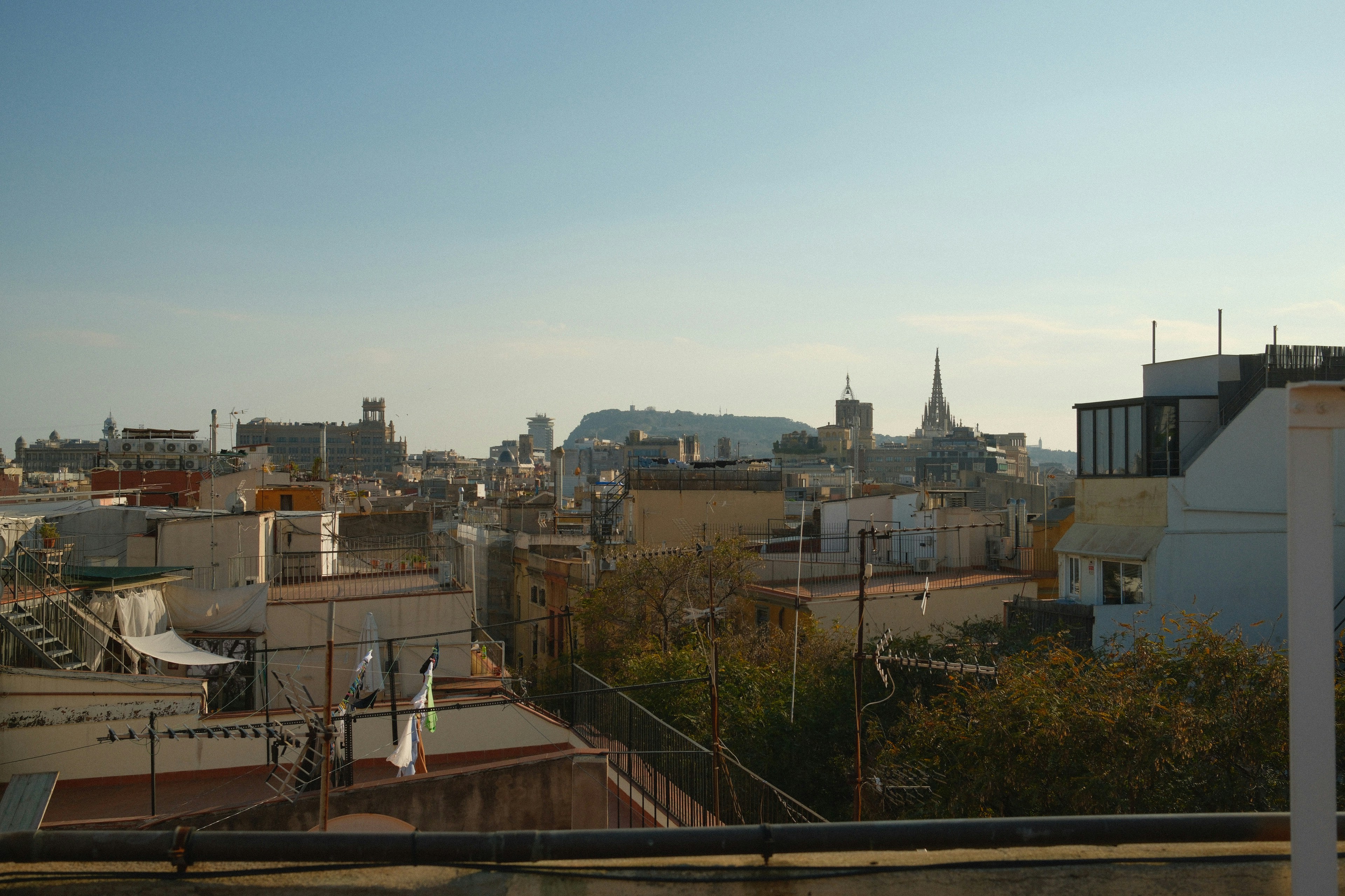Distant Spires Over a Sunlit Rooftop Panorama