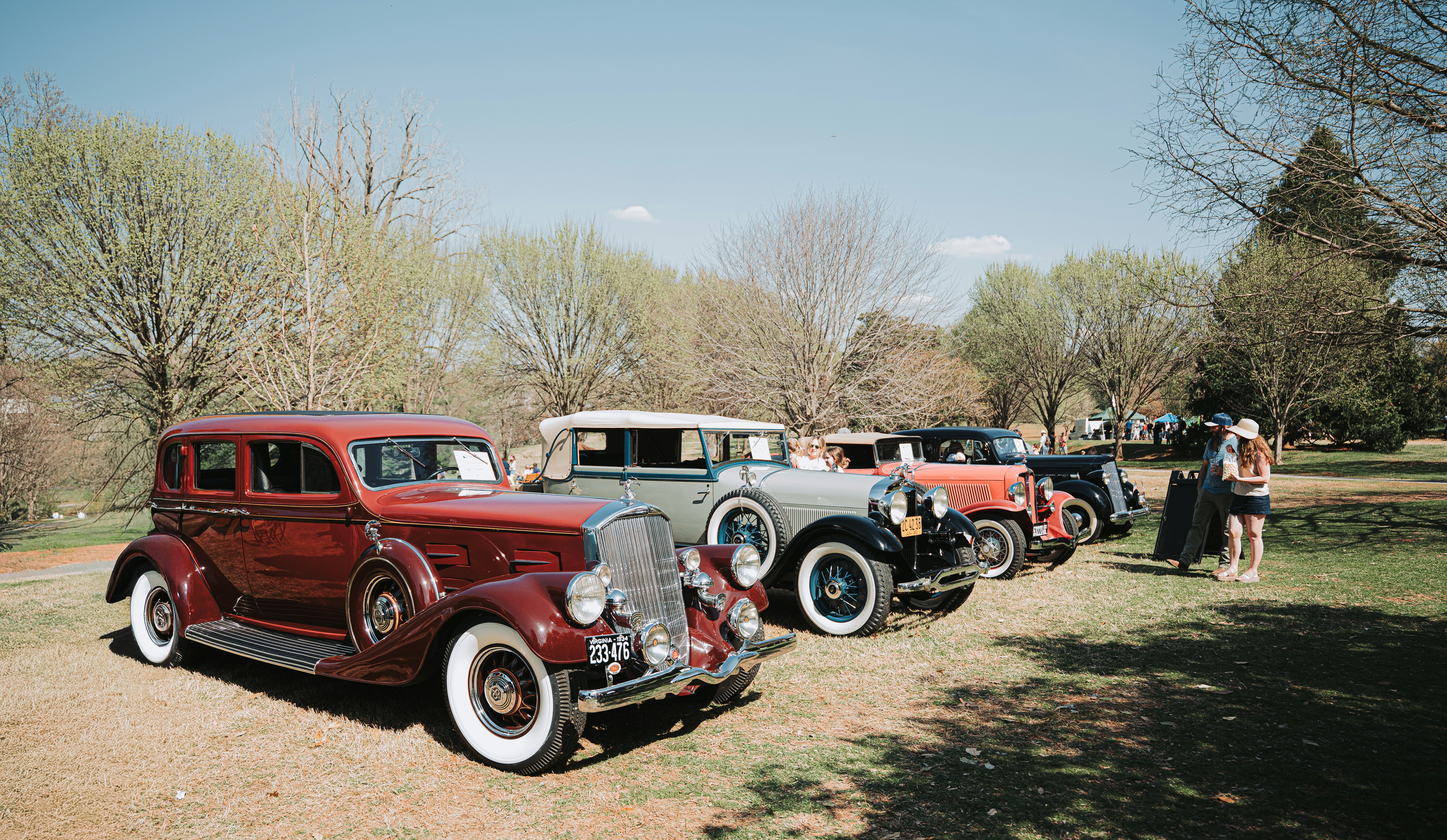 Line of Classic Reds: A Row of Vintage Cars in a Sunlit Park