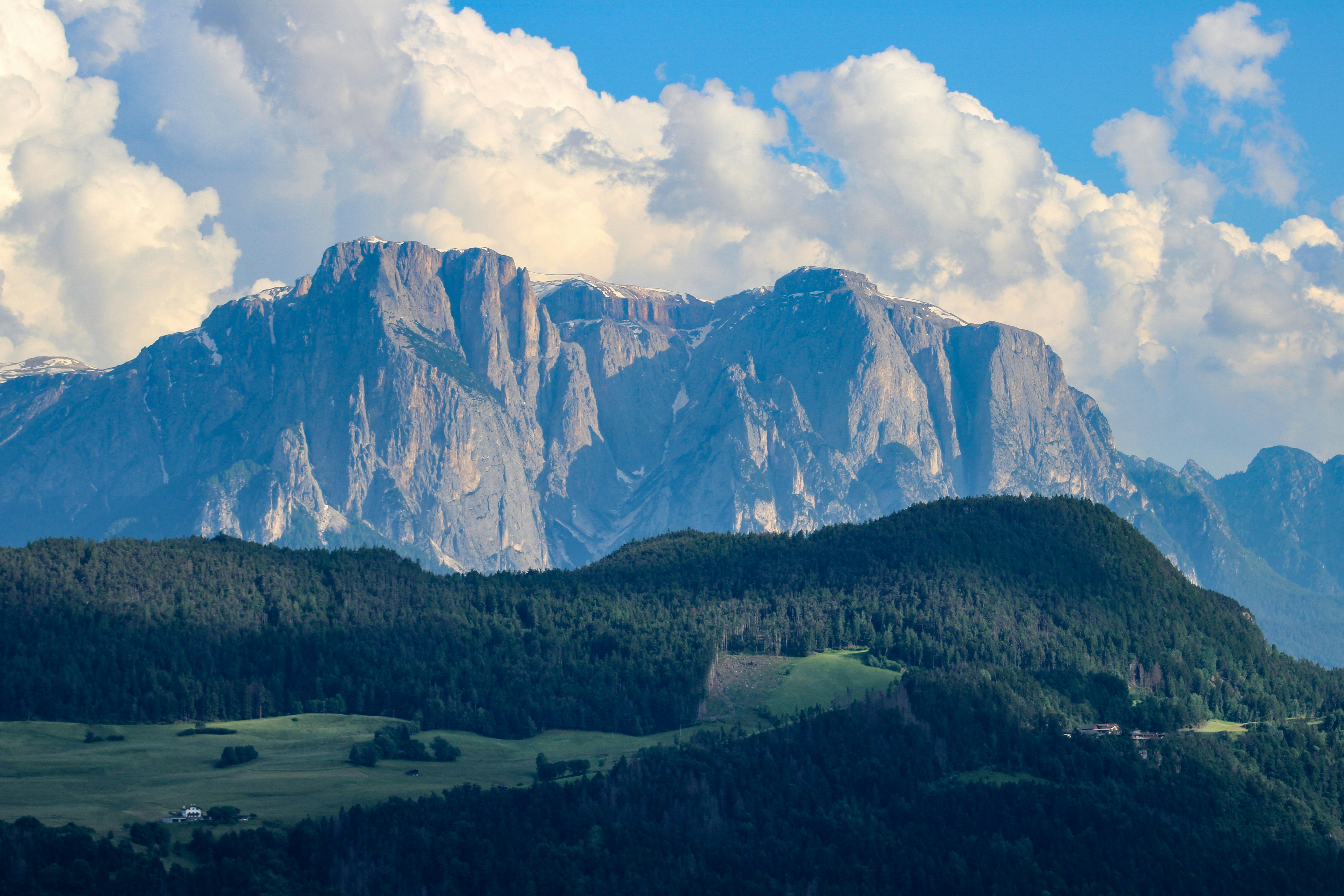 Majestic Alpine Rift: A Quiet Dawn Over Rolling Pines
