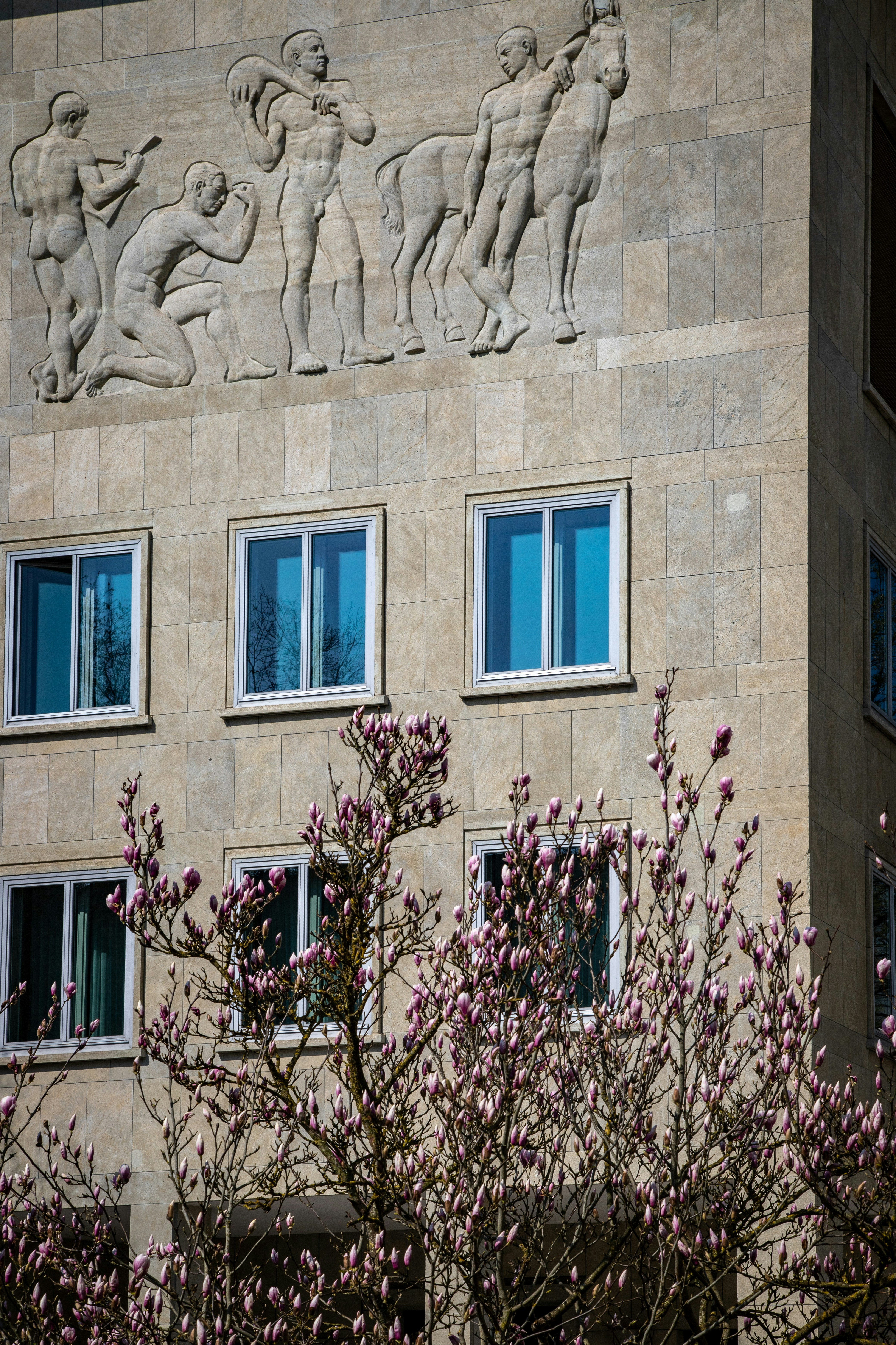 Bas-relief and blooming branches: a geometric facade framed by spring blossoms