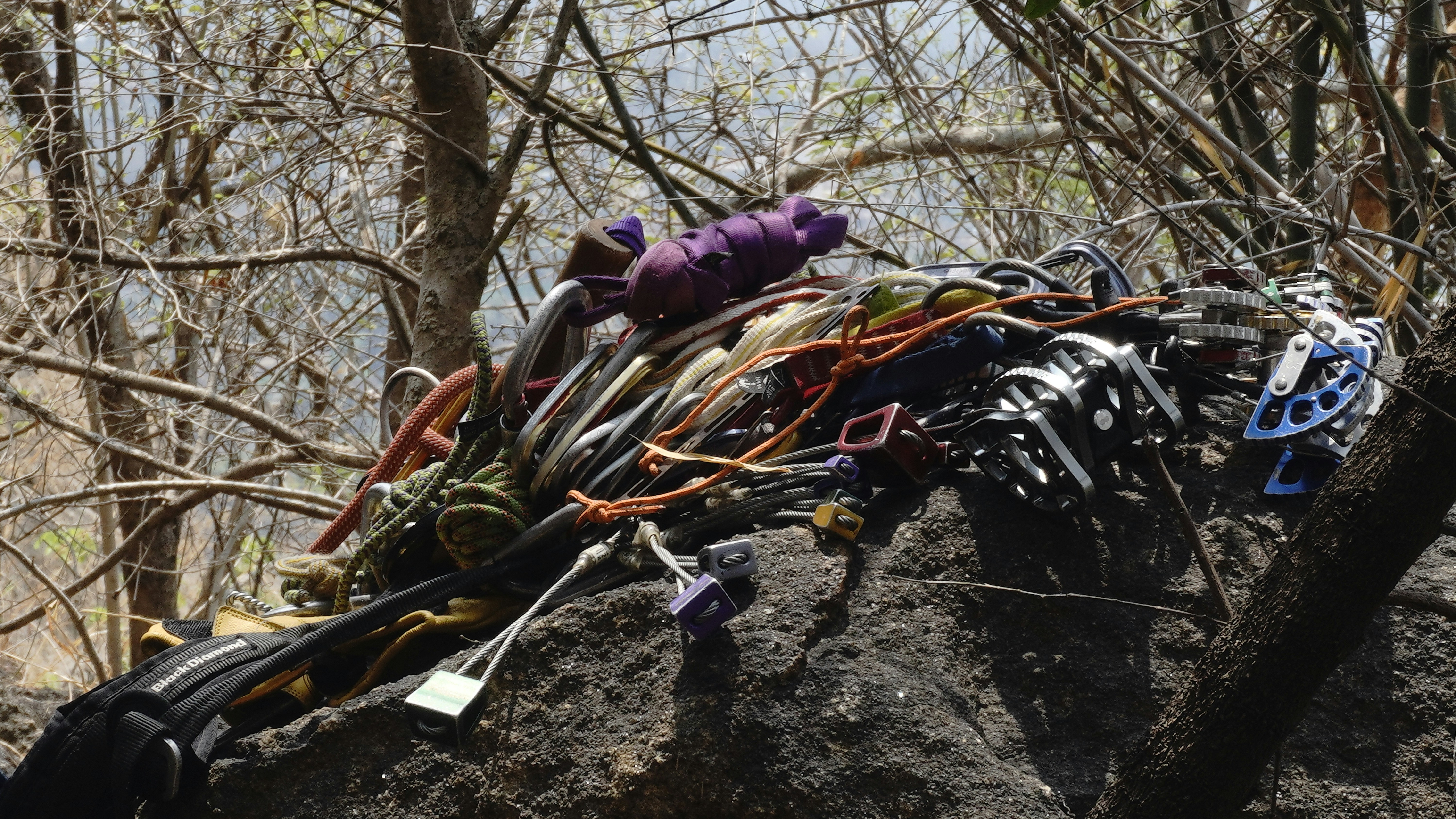 Vine- and cable-draped rock crest in a leaf-bare thicket