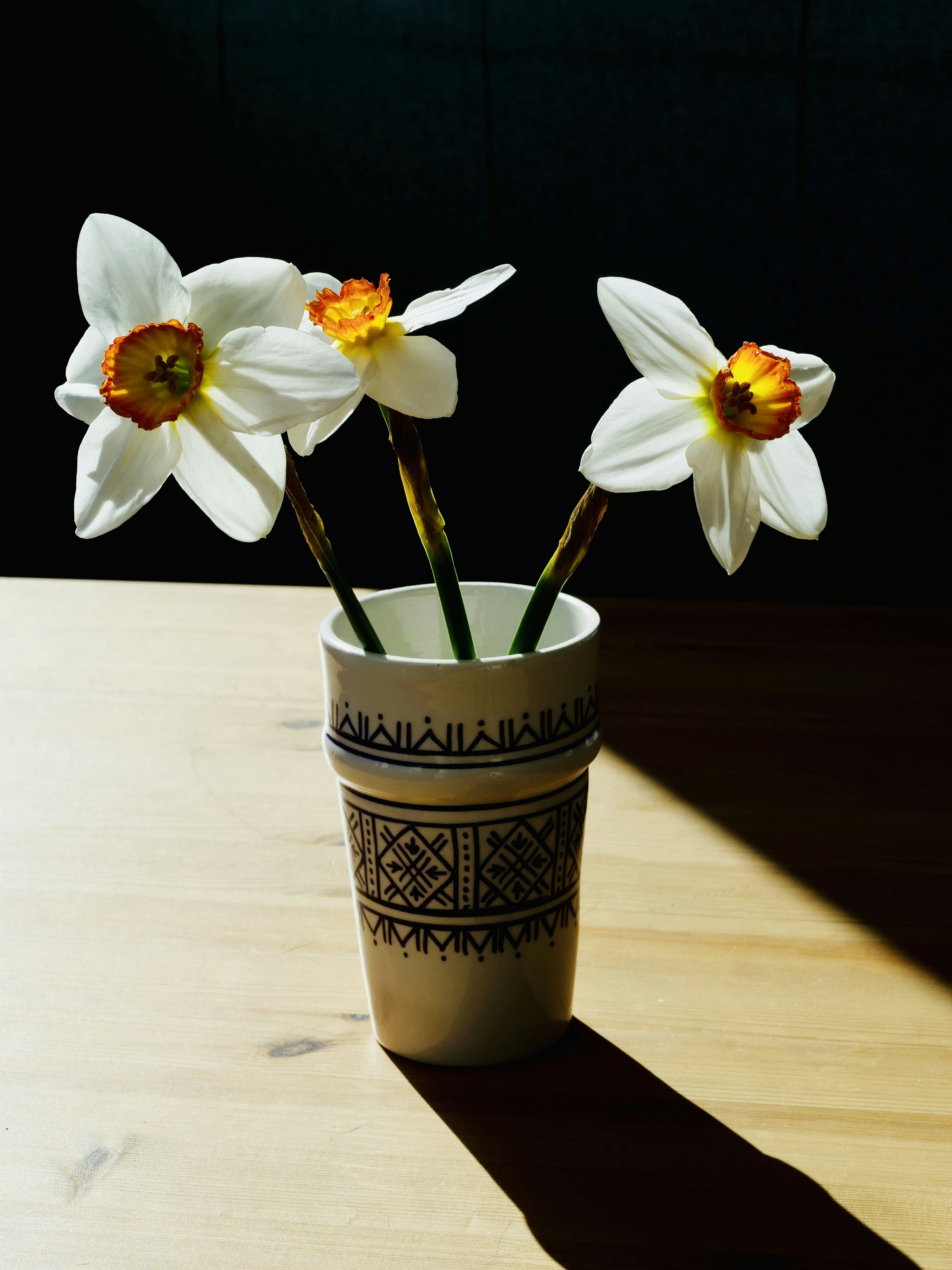 Three Narcissus in a Ceramic Vessel Cast in Warm Sunlight