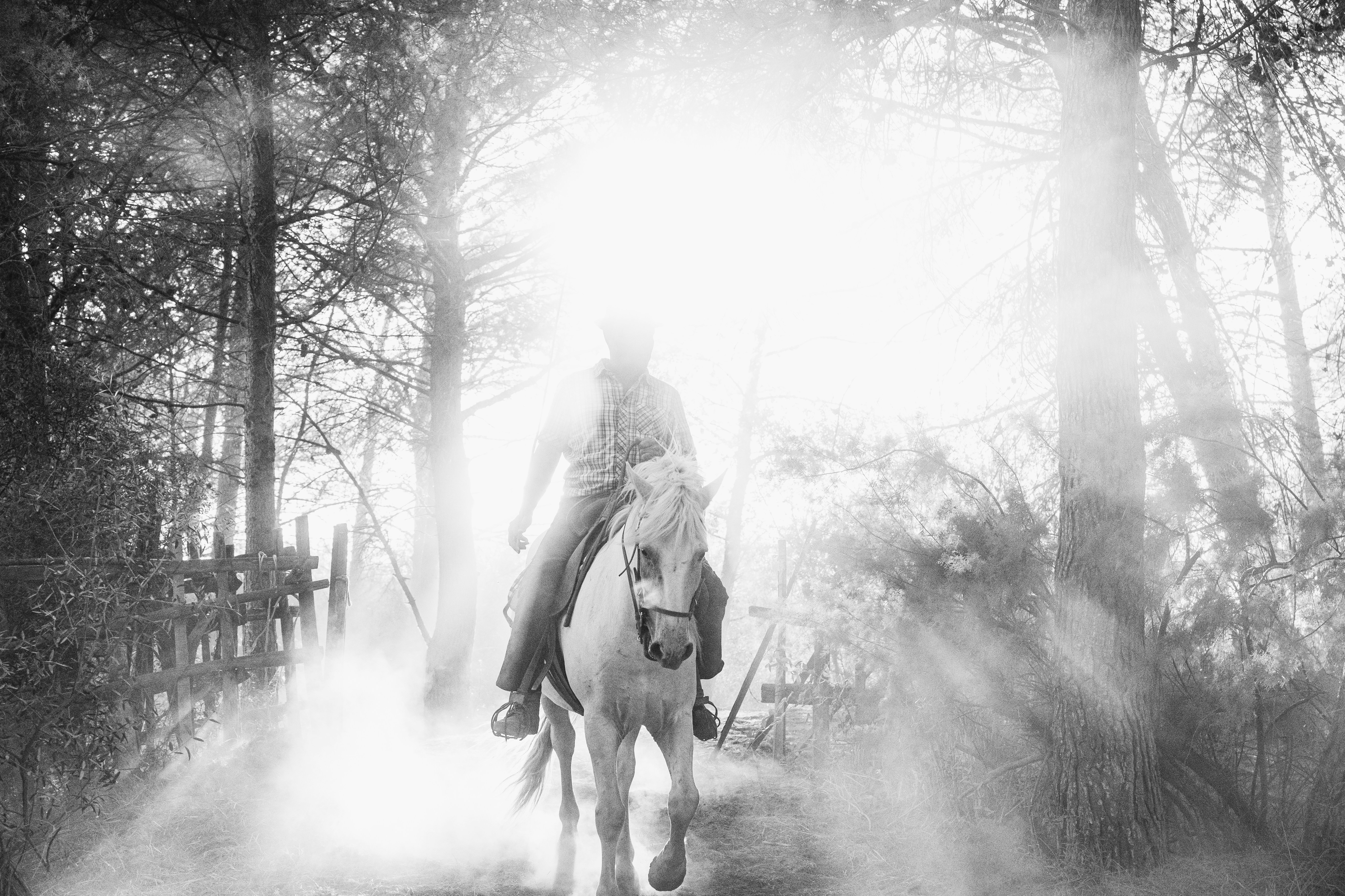 Ghostly Gallop: Rider Transcends a Hazy Woodland Exit